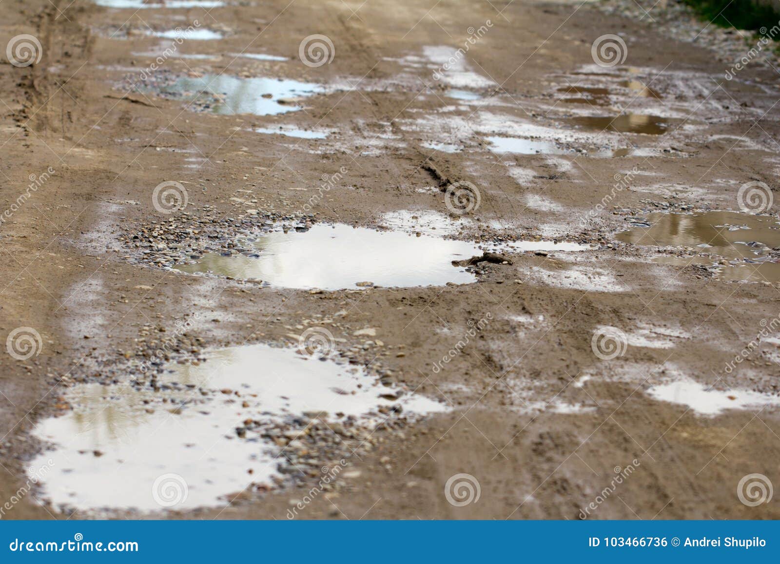 Charcos en el camino foto de archivo. Imagen de charco - 103466736