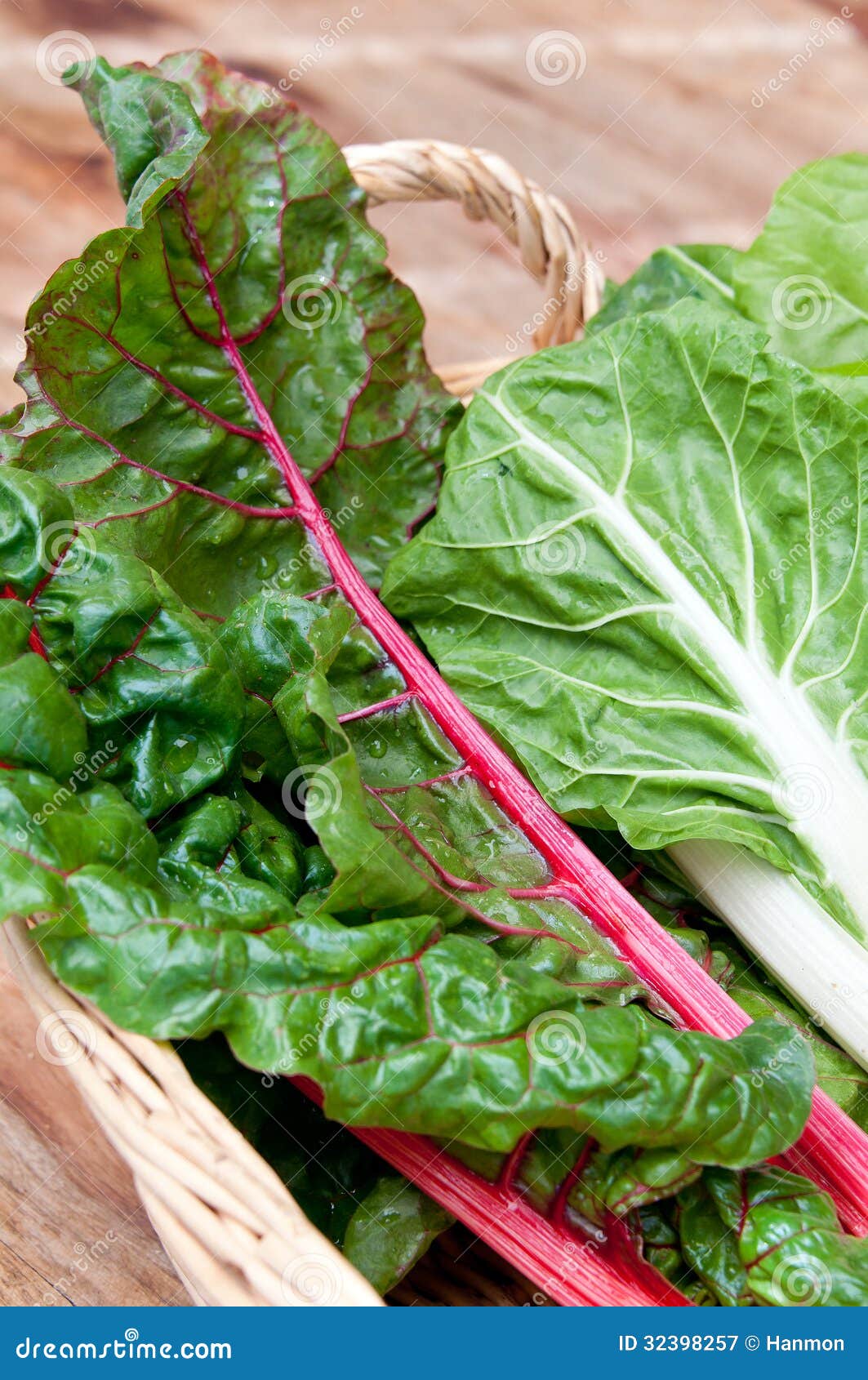 Chard leaves stock image. Image of vegetarian, healthy - 32398257