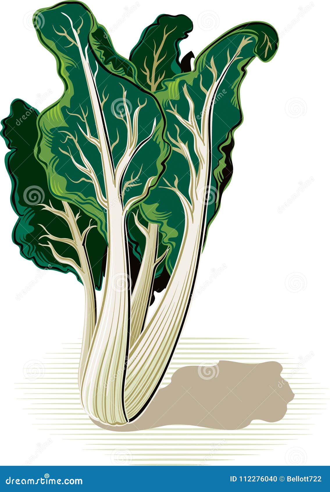 Chard Cartoons, Illustrations & Vector Stock Images - 566 Pictures to ...