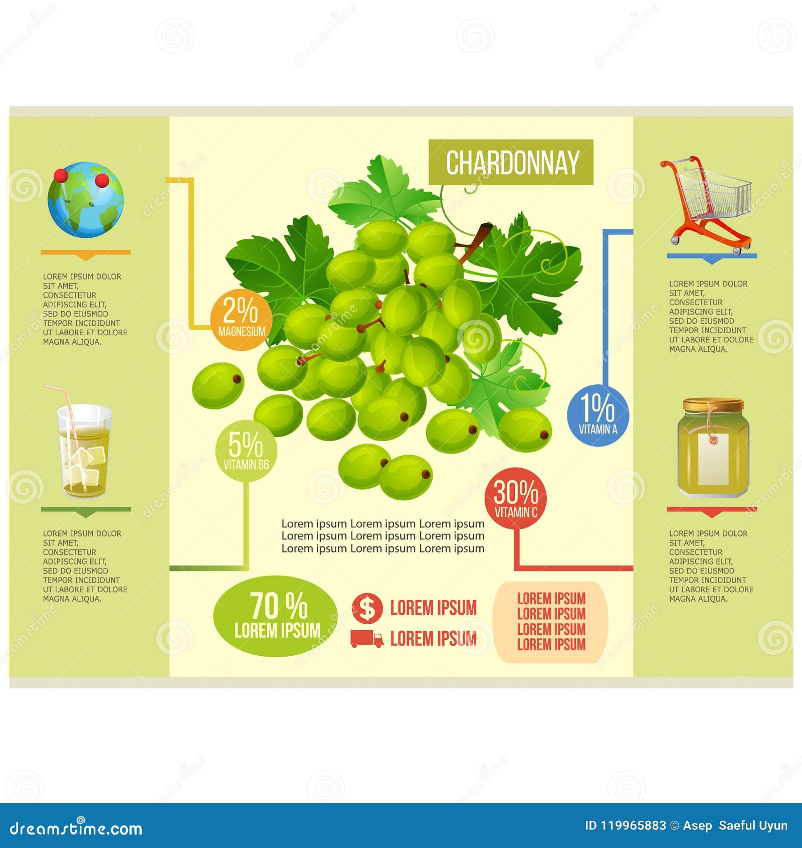 Chardonnay Infographic Vector Stock Vector - Illustration of healthy ...