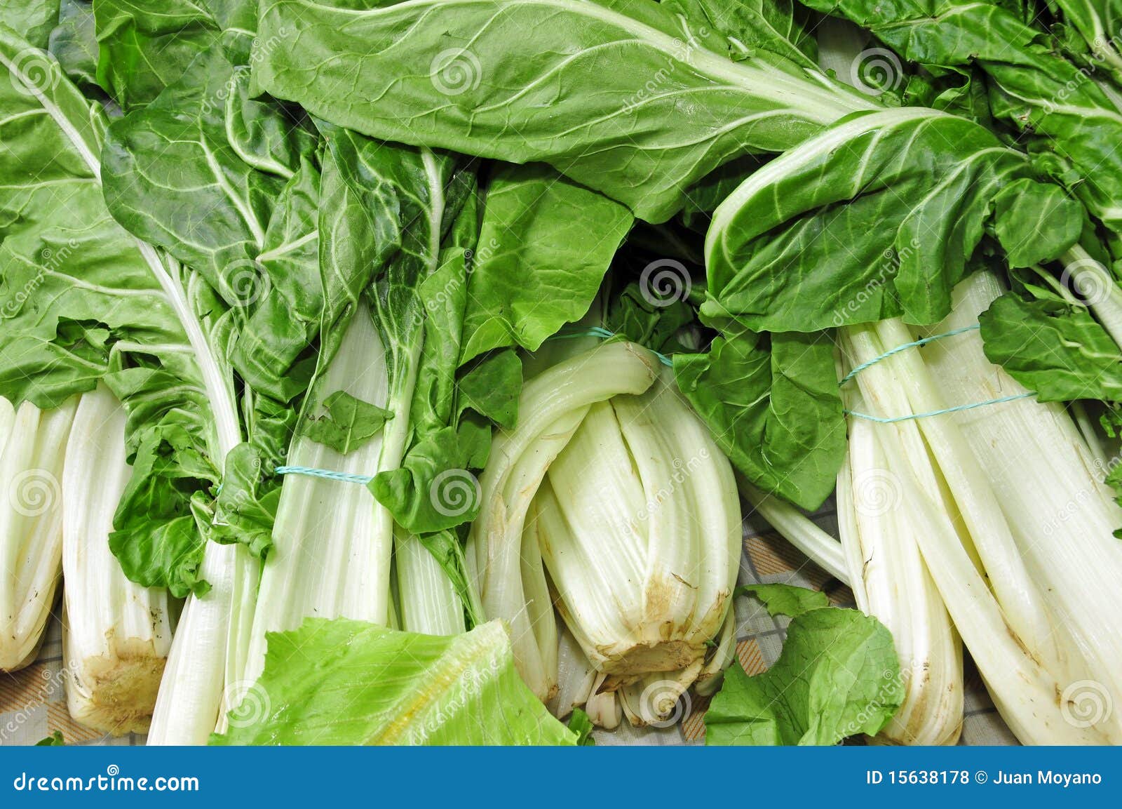 Chards stock photo. Image of fresh, delicious, market - 15638178