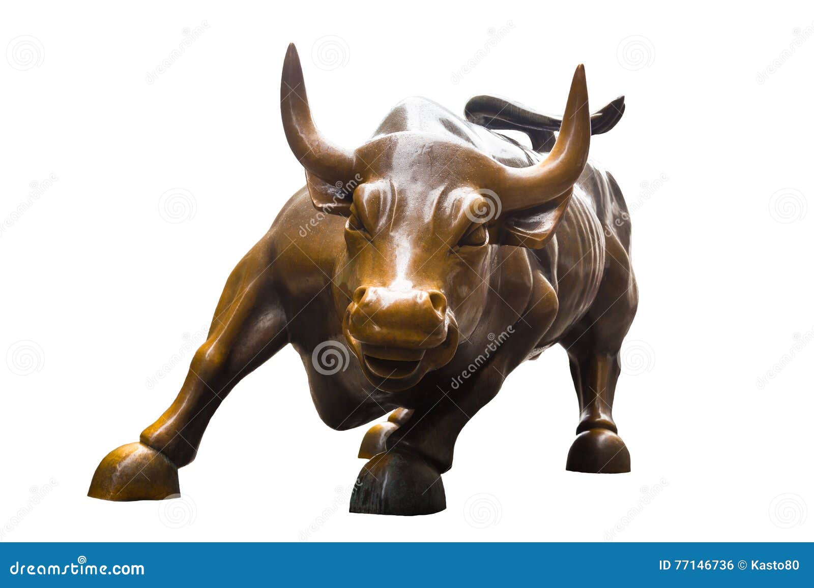 Bull Isolated On White. Beautiful Big Brown Bull Full Length. Bull ...