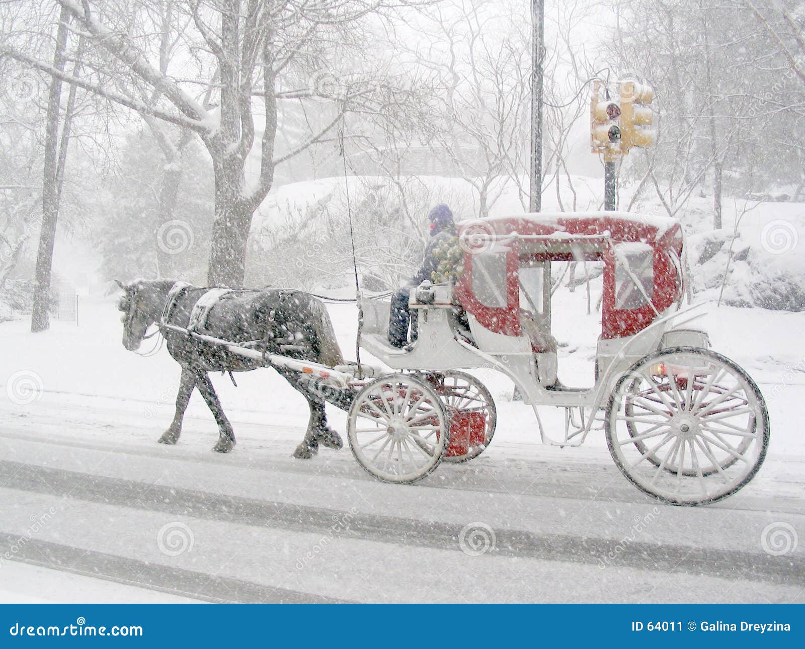 Chariot dans la neige image stock. Image du cheval, chariot - 64011