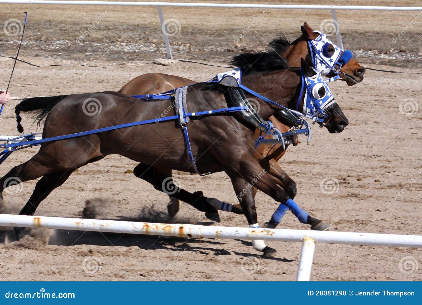 Chariot racing stock photo. Image of gallop, whip, railings - 28081298