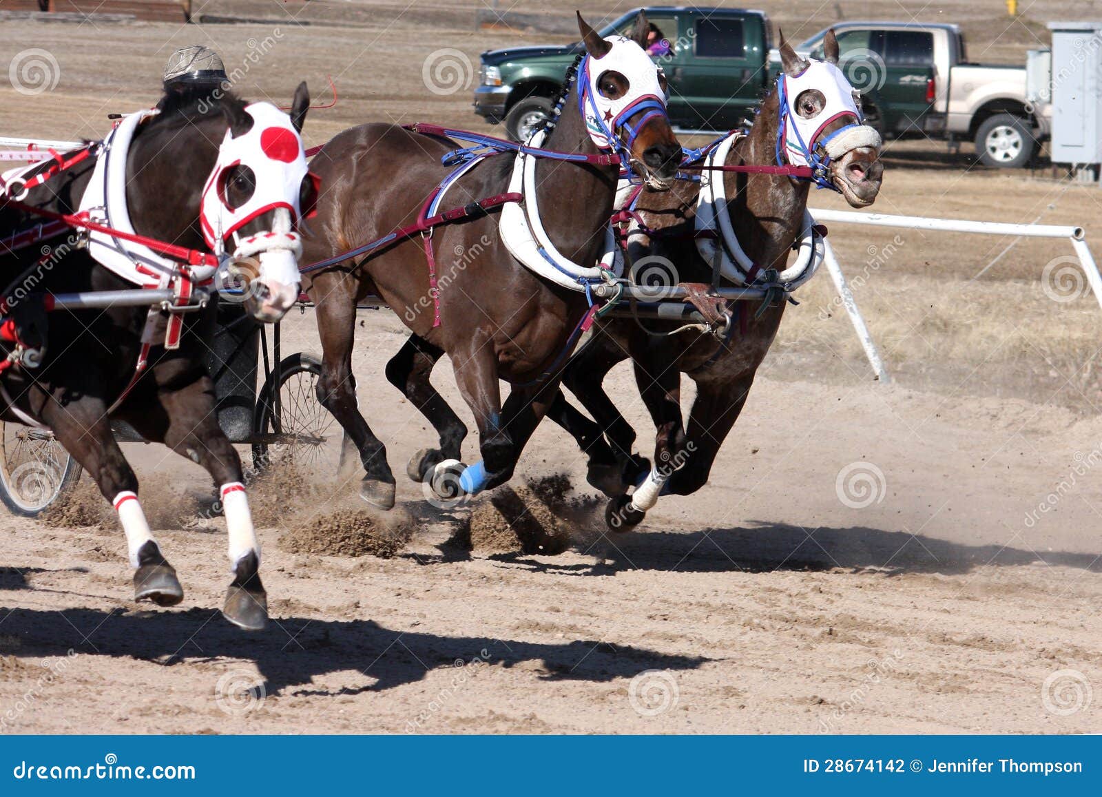Chariot racing stock photo. Image of sand, whip, gallop - 28674142