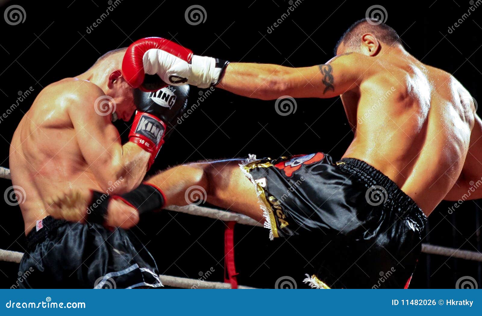 Charity Boxing 2009 editorial photo. Image of austria - 11482026