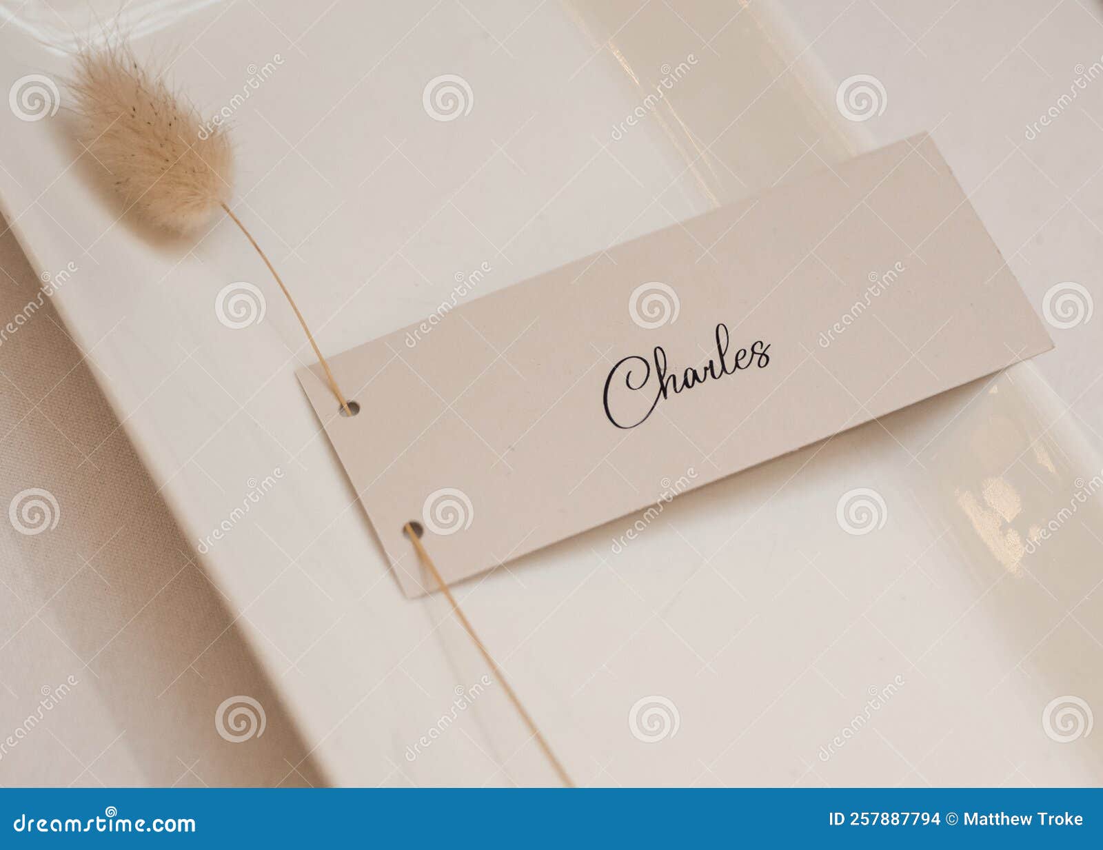 Charles Name Plate Beautiful Setting Stock Photo - Image of drawing ...