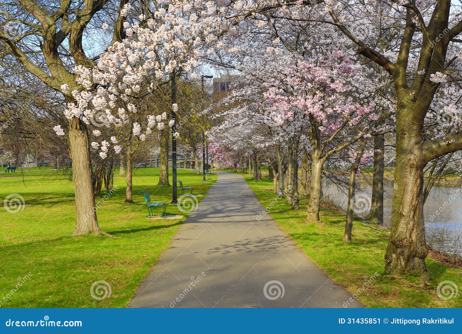 Charles River Esplanade stock image. Image of trail, charles - 31435851