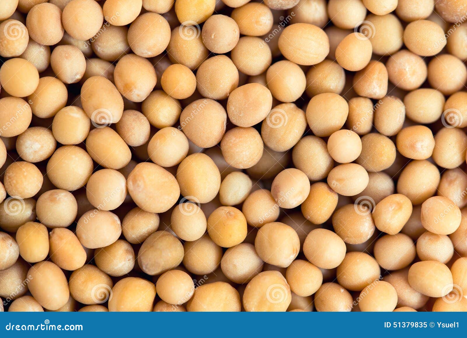 Charlock seeds stock image. Image of flavoring, details - 51379835