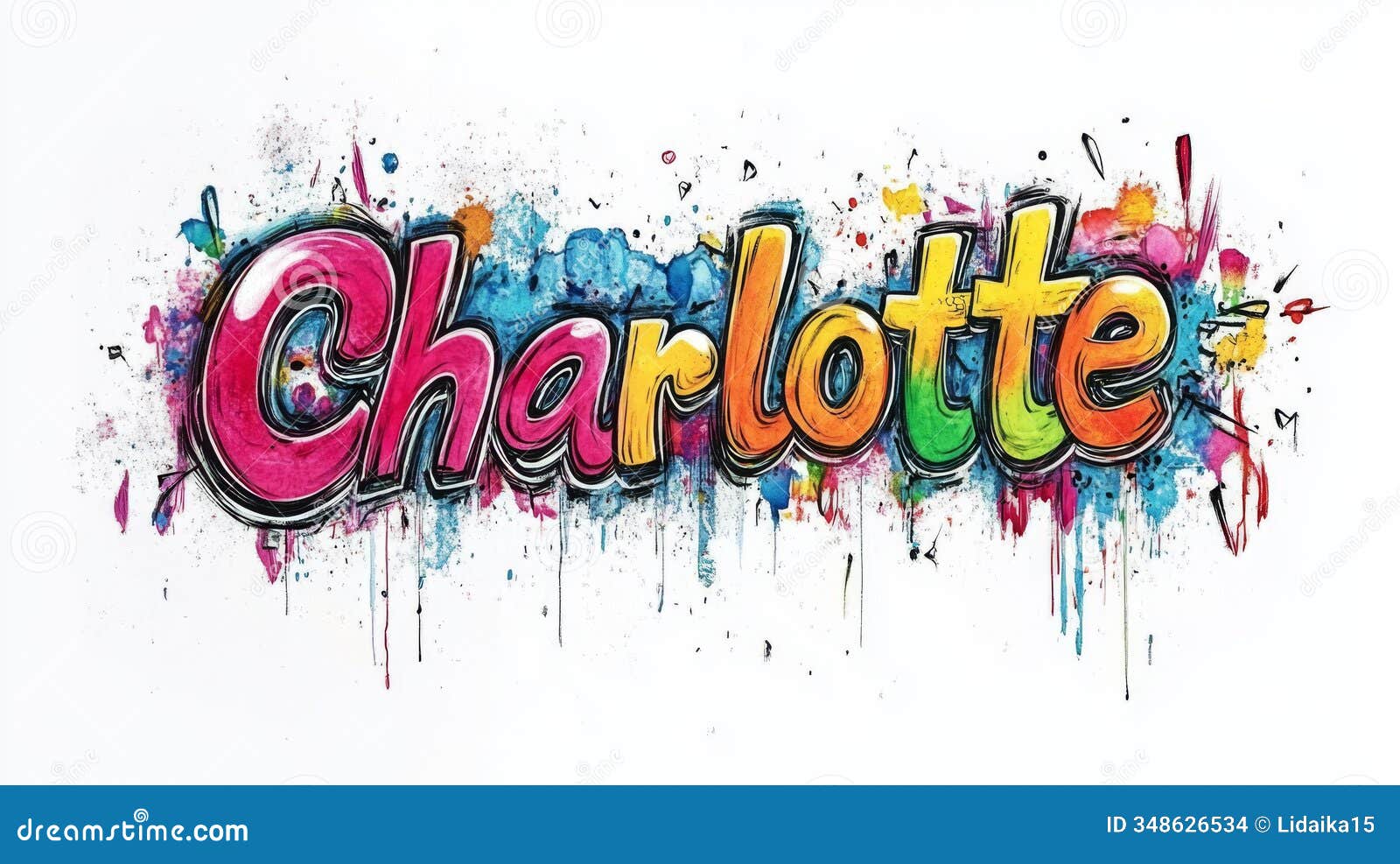 Colorful Map Of Charlotte, North Carolina With All Major And Minor ...