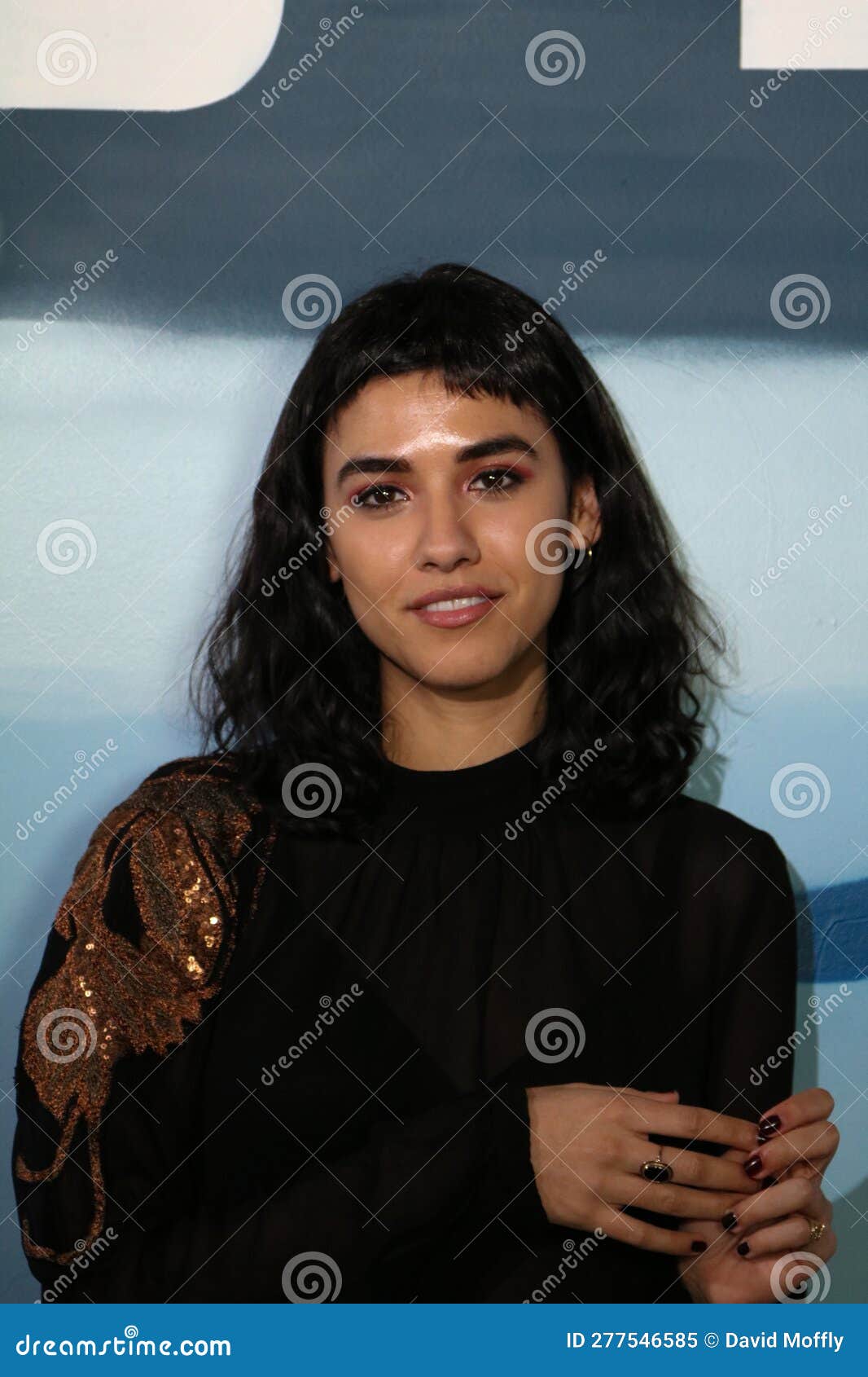 Charlotte OC Shooting an Interview in Brooklyn Editorial Image - Image ...