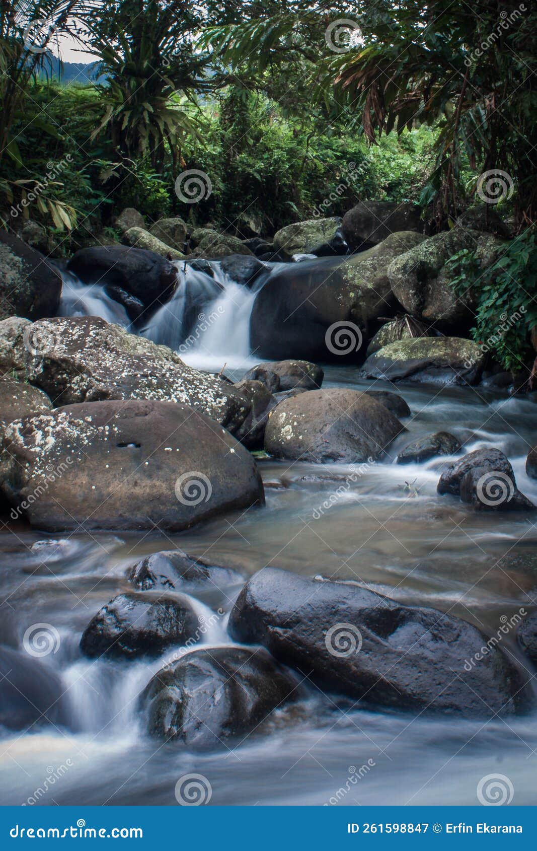 The Charm of a Small Waterfall in West Java Stock Image - Image of tree, mountain: 261598847