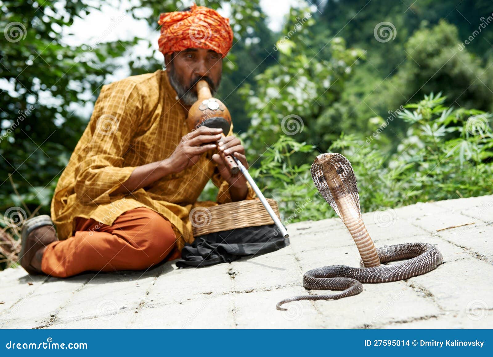 Charmeur Van Slang in India Stock Foto - Image of mand, spel: 27595014