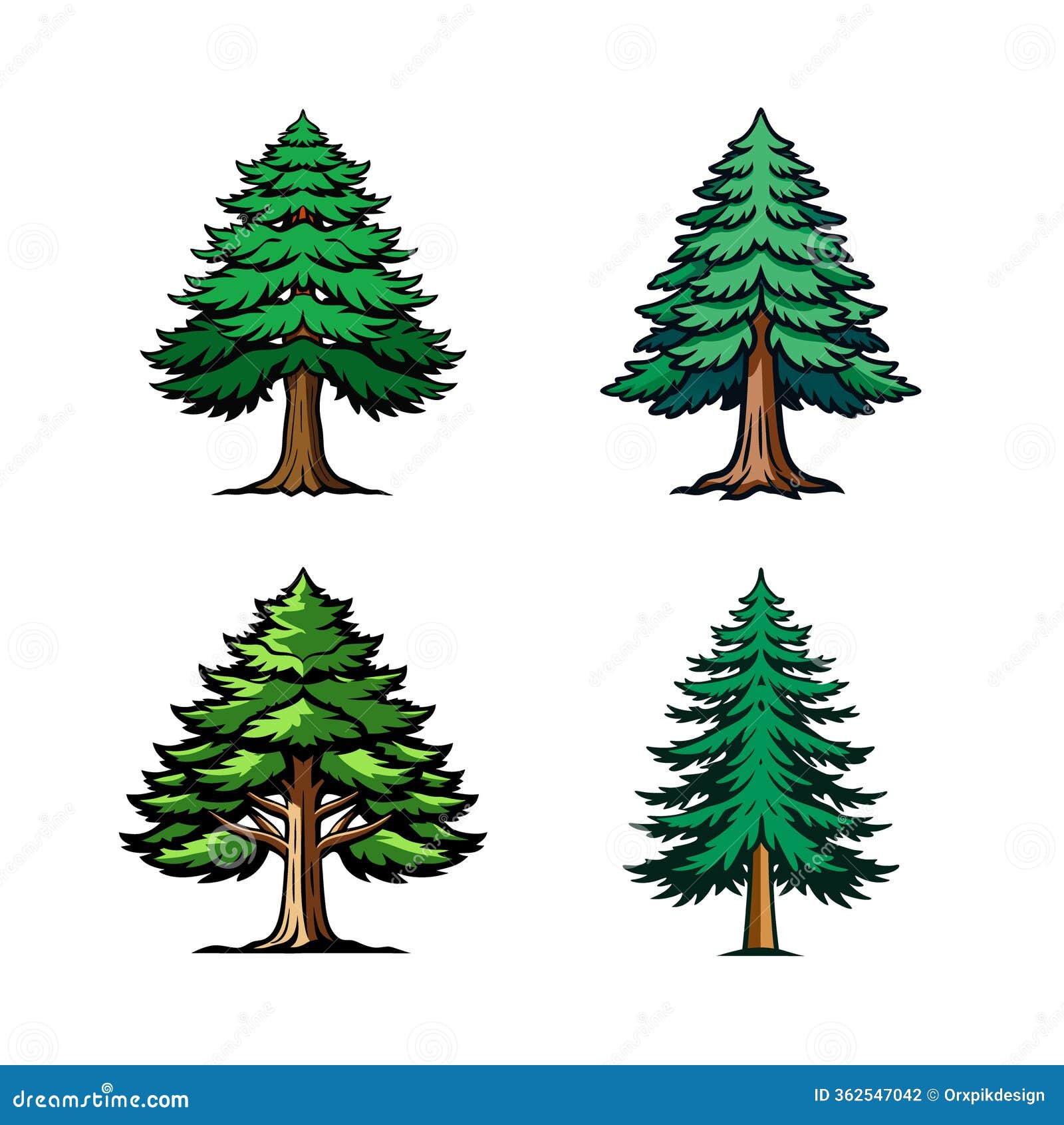 Virginia Pine, Pine Cone Vintage Illustration | CartoonDealer.com ...