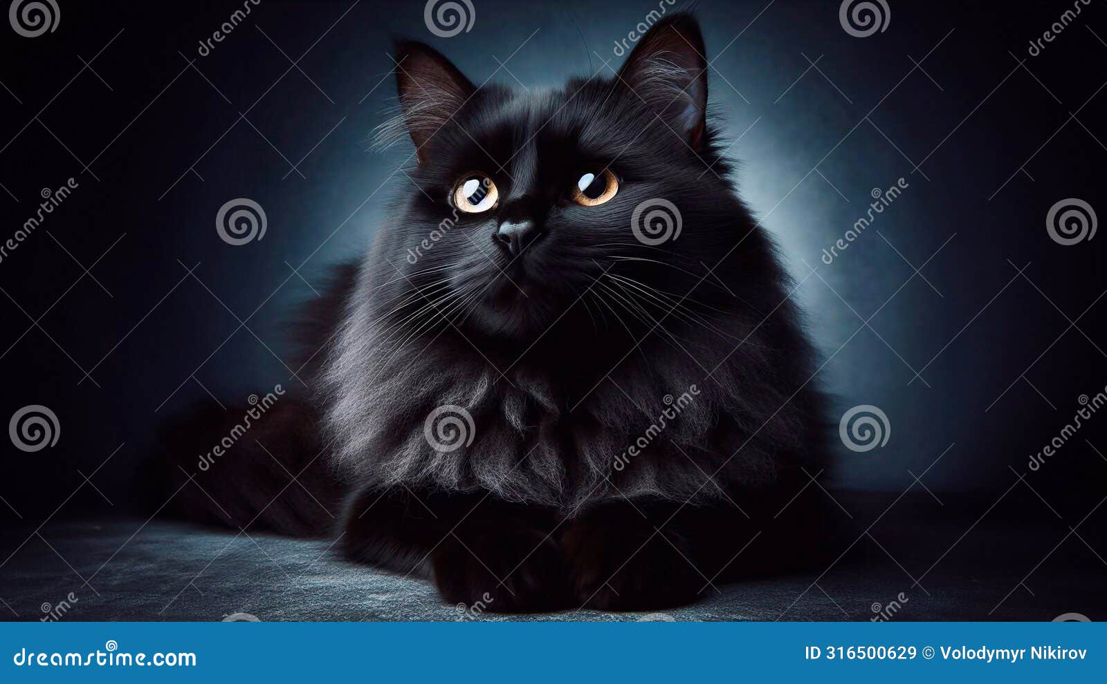 Charming Black Cat. High Resolution. Generated AI Stock Illustration ...