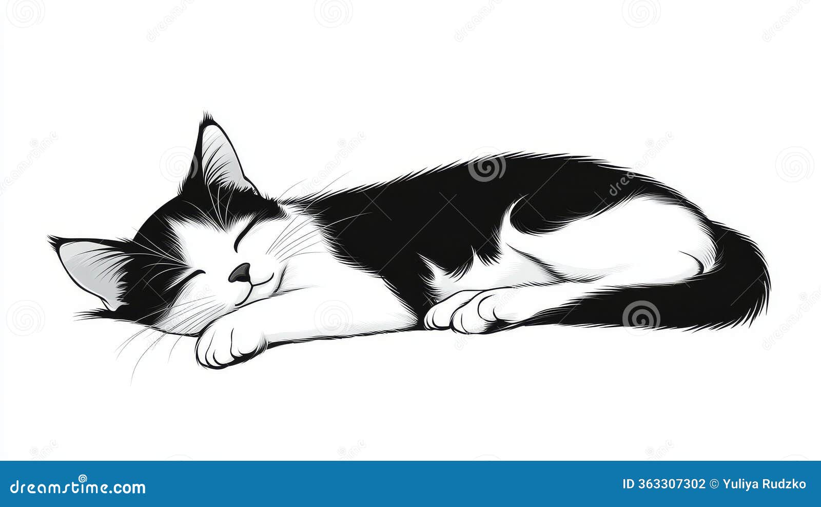 A Charming Black-and-white Cartoon Cat Dozes Calmly on a Light Backdrop ...