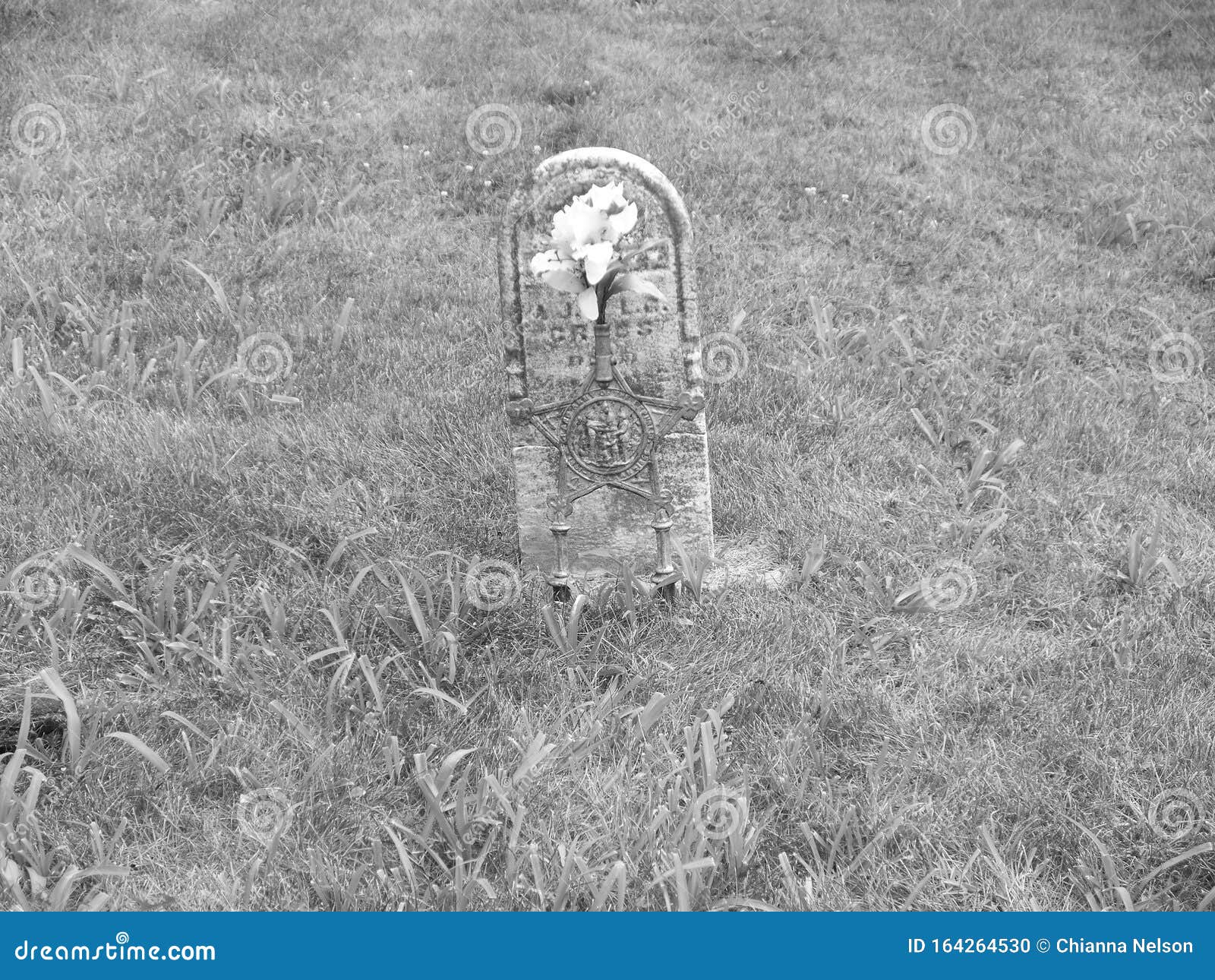 One Little Stone Alone stock photo. Image of little - 164264530