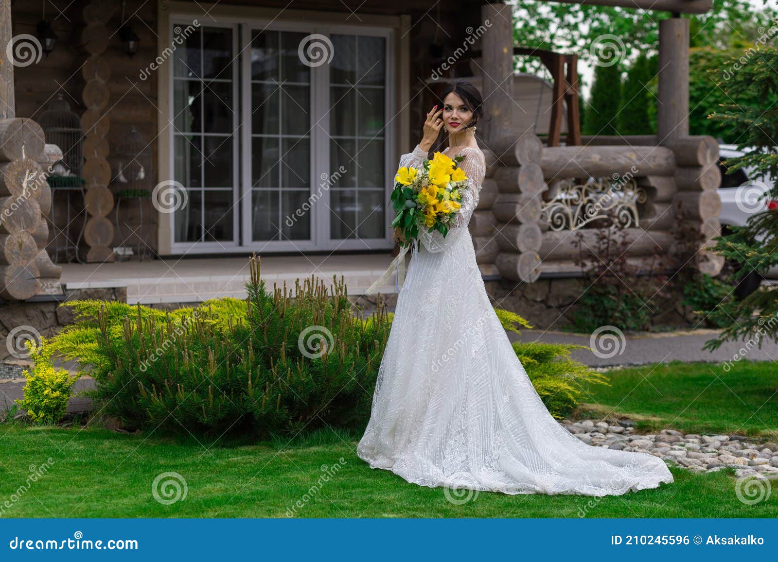 The charming bride stock photo. Image of female, nature - 210245596