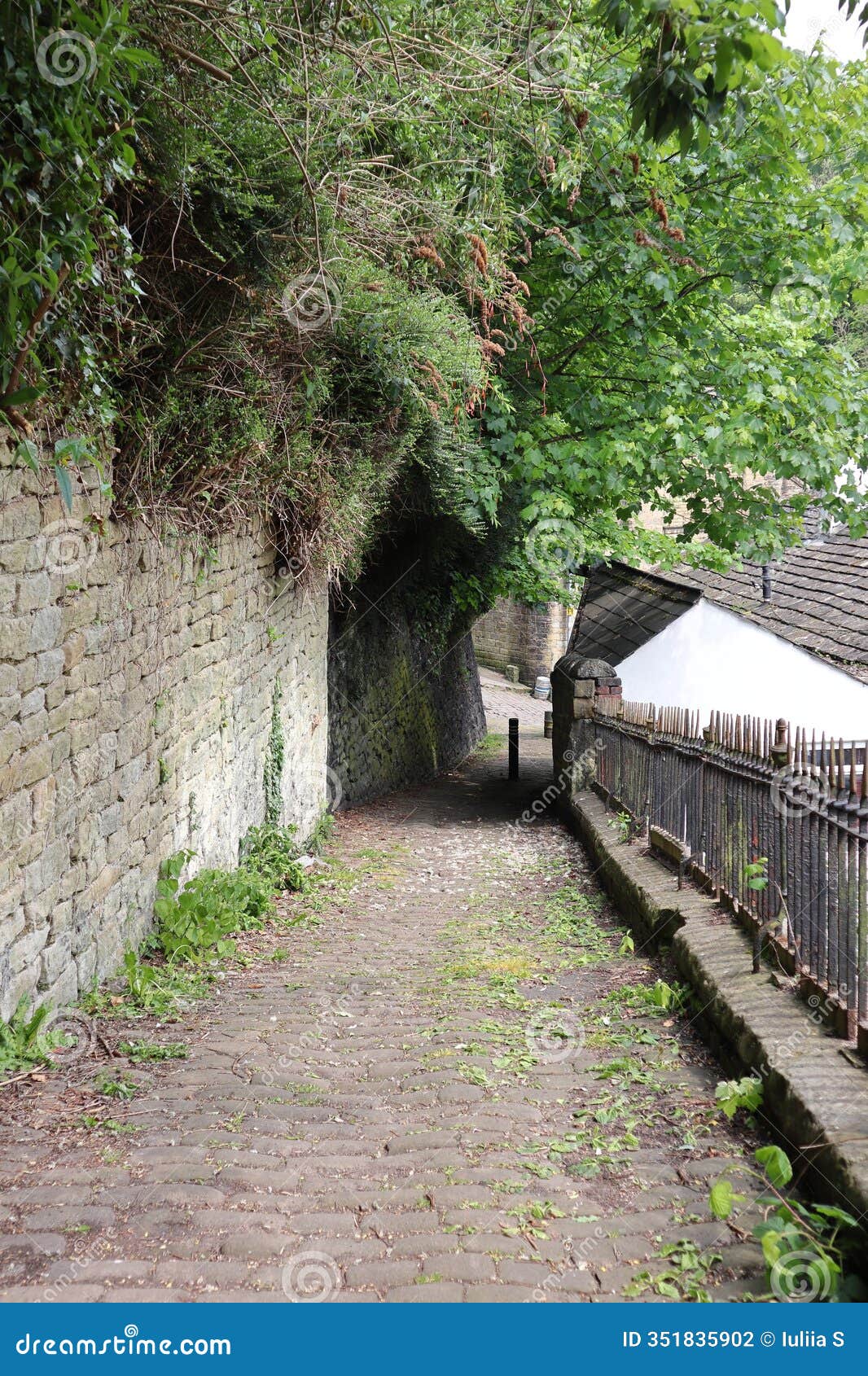 Charming Cobblestone Pathway Surrounded by Lush Greenery and Historic ...