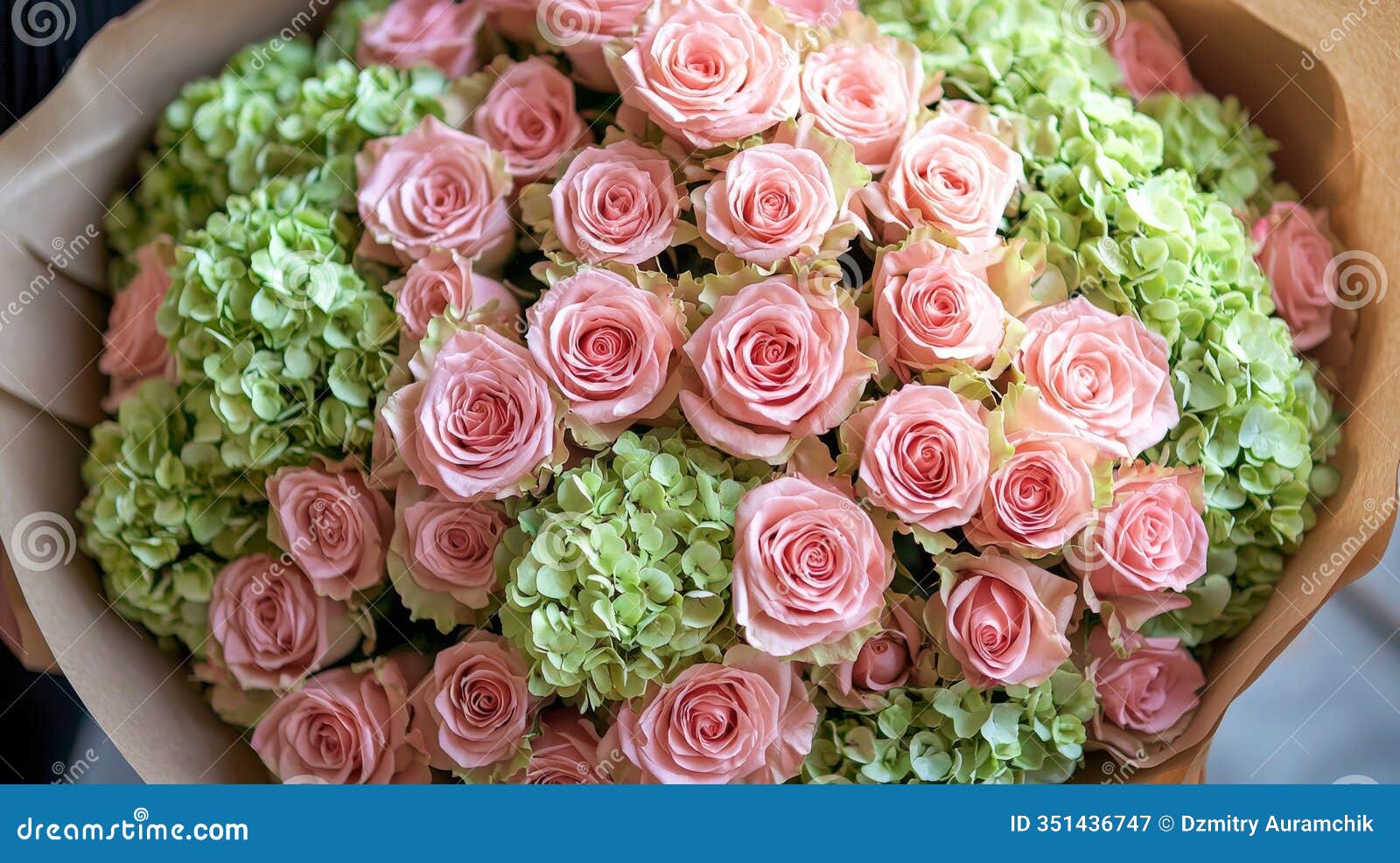 A Charming Collection of Pink Roses and Green Hydrangeas, Presented in Brown Paper. Stock Image ...