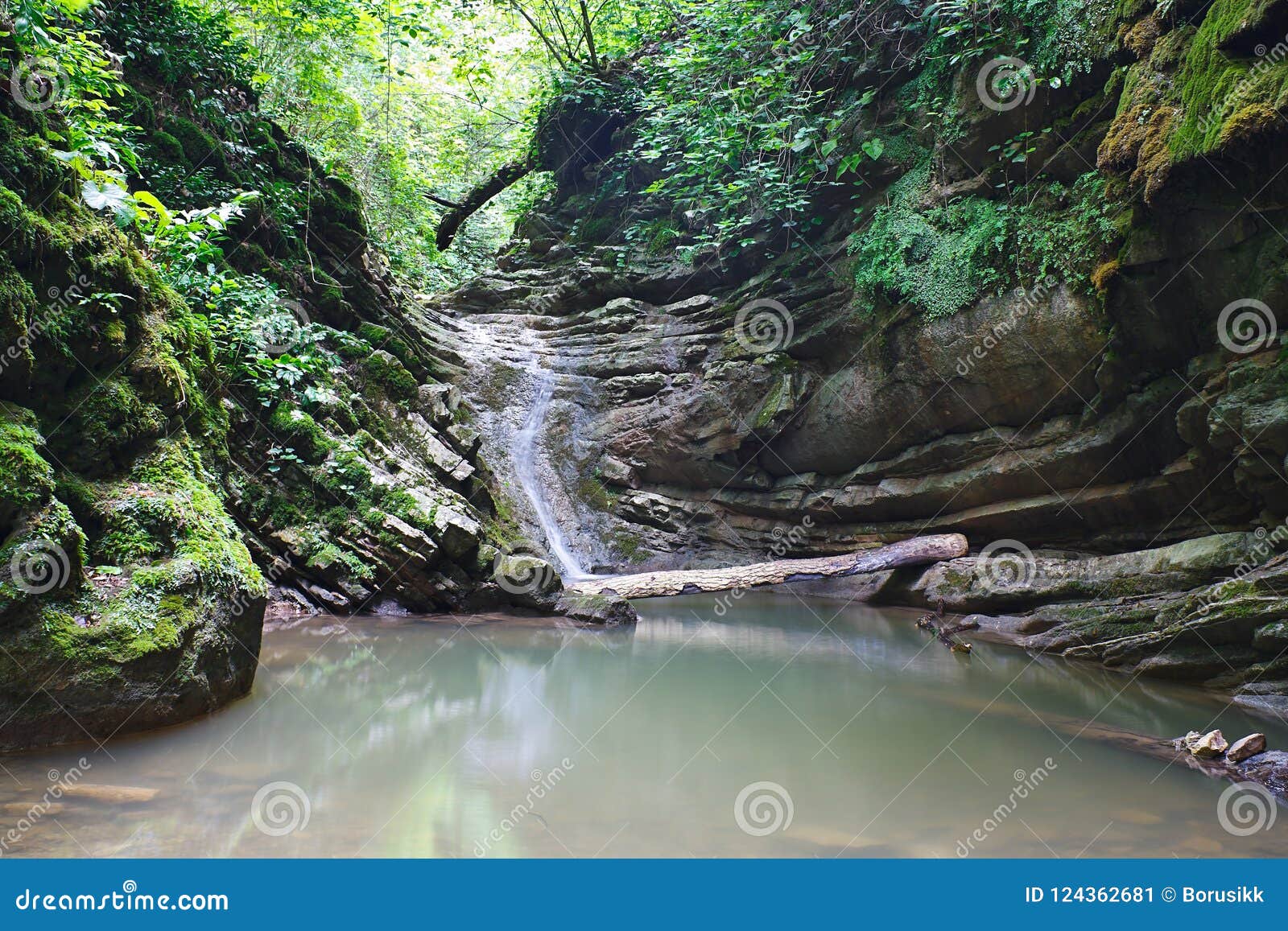Charming Forested Cliffs Overgrown with Ivy and Moss with Waterfall ...