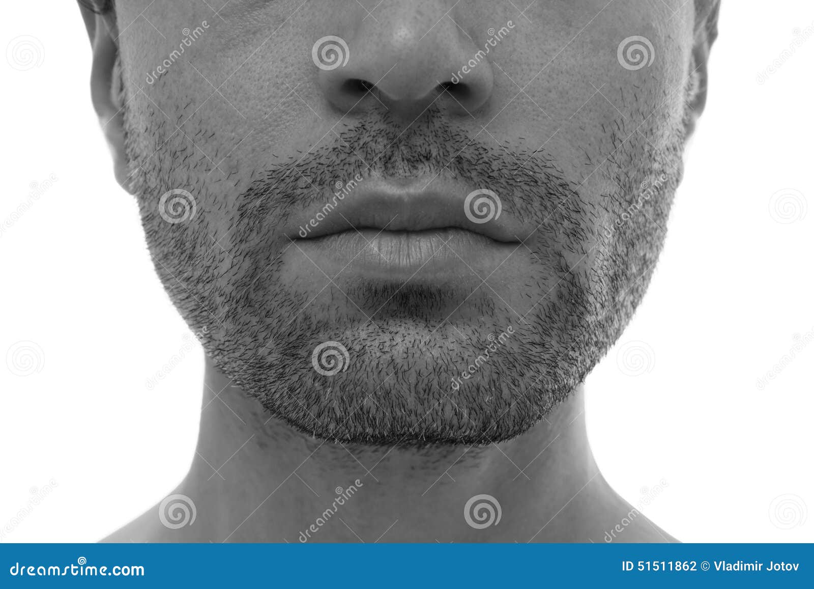 Charming and Handsome Man Half Face Stock Photo - Image of caucasian ...