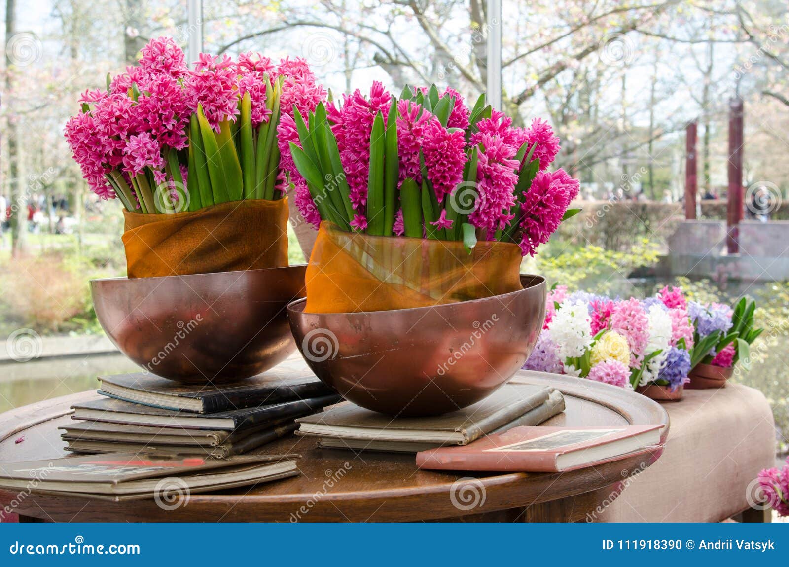 Charming Interiors in the Room with Flower Pots Stock Photo - Image of ...