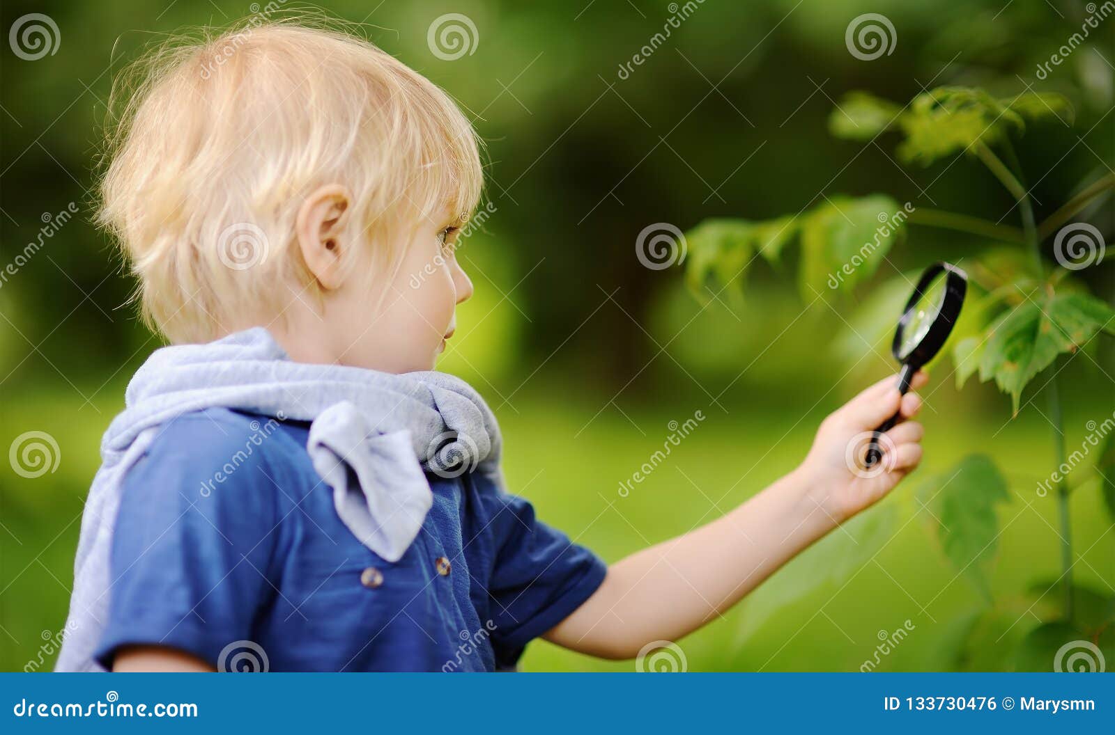 Charming Kid Exploring Nature with Magnifying Glass Stock Photo - Image ... Charming Kid Exploring Nature with Magnifying Glass Stock Photo - Image ...