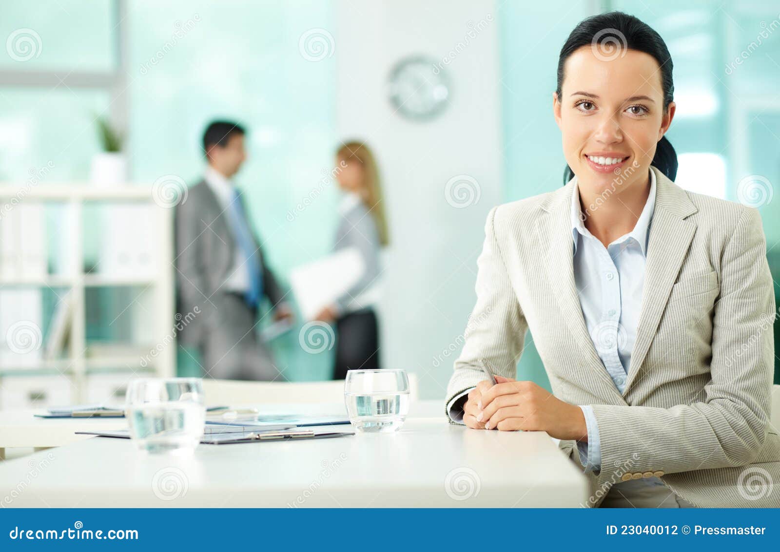 Charming leader stock photo. Image of feminine, executive - 23040012