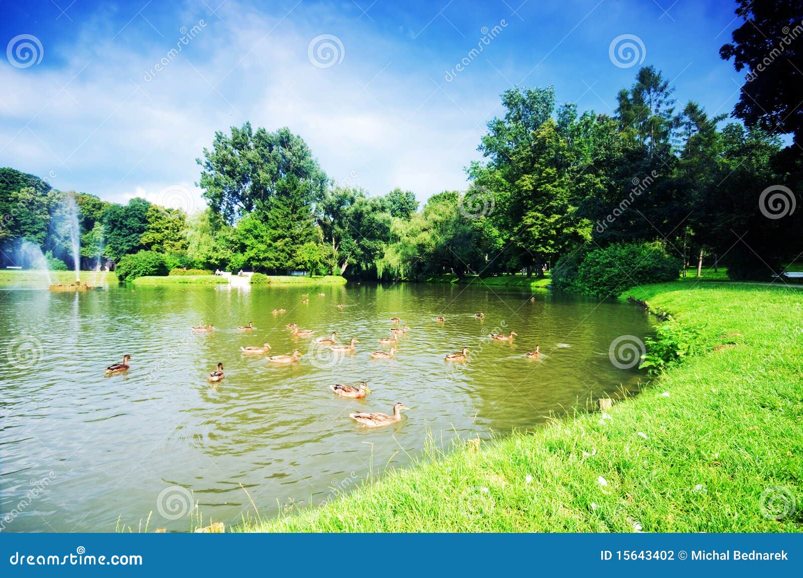 Charming park with pond stock photo. Image of lake, land - 15643402