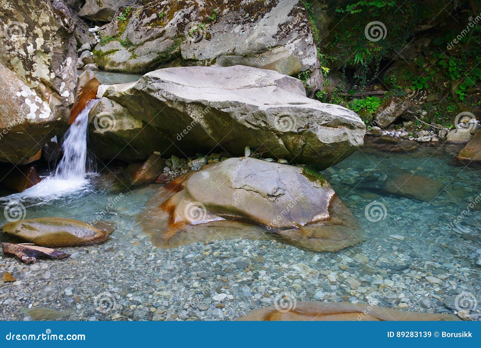 Charming Refreshing Water Stream Flowing between Stones in Forest Stock ...