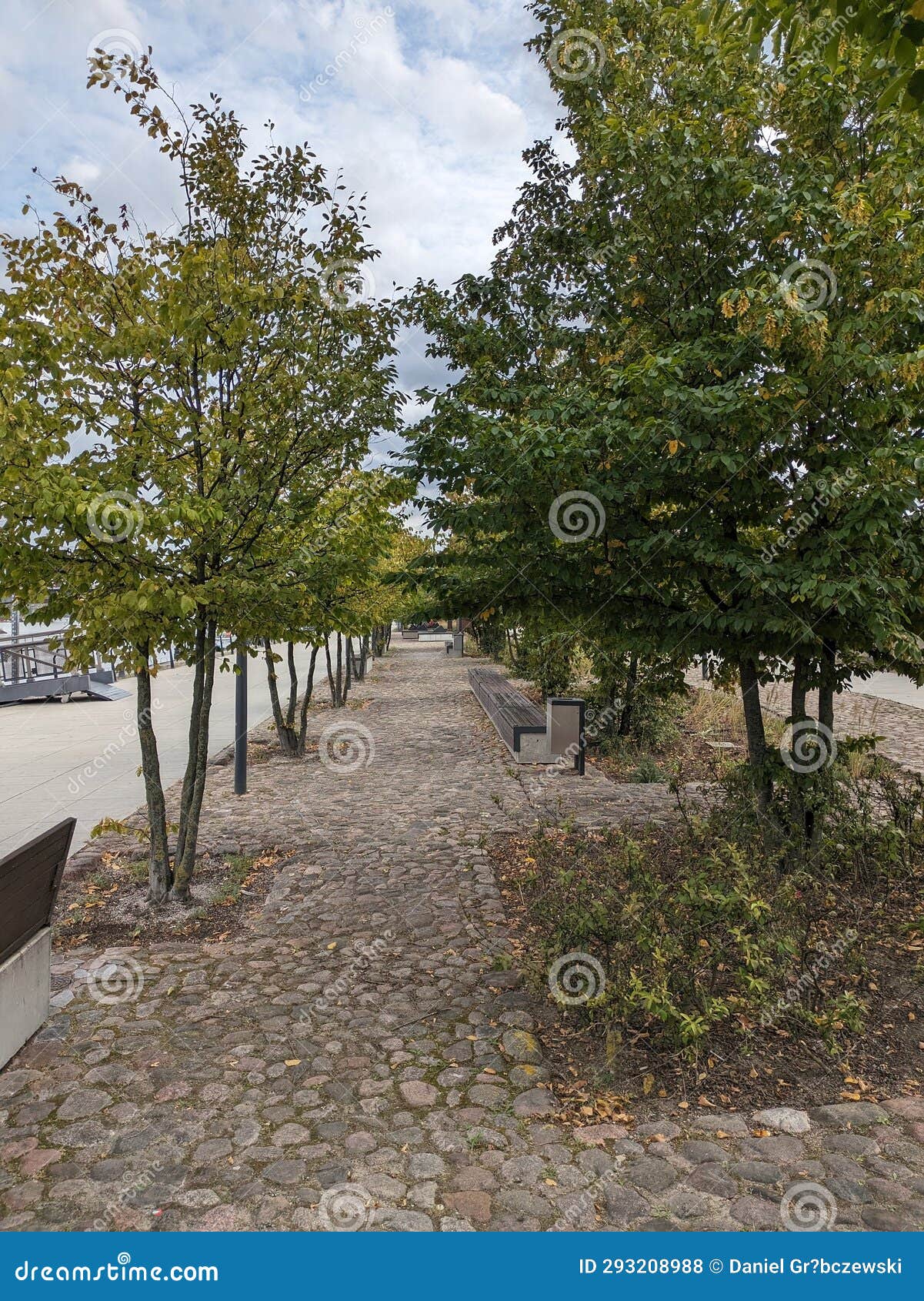 A Charming Stone Path Meandering through a Corridor of Majestic Trees ...