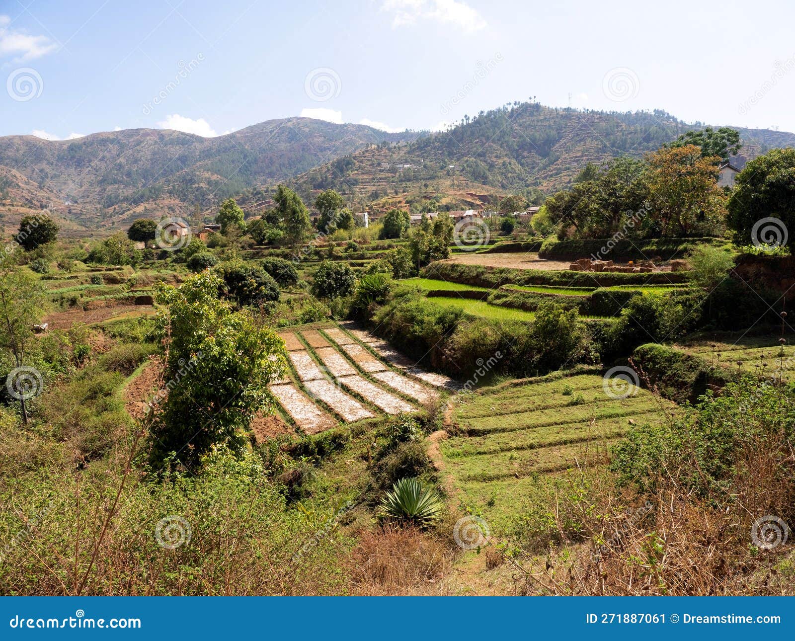 The Charming Terraced Fields in the South of Madagascar Stock Image ...