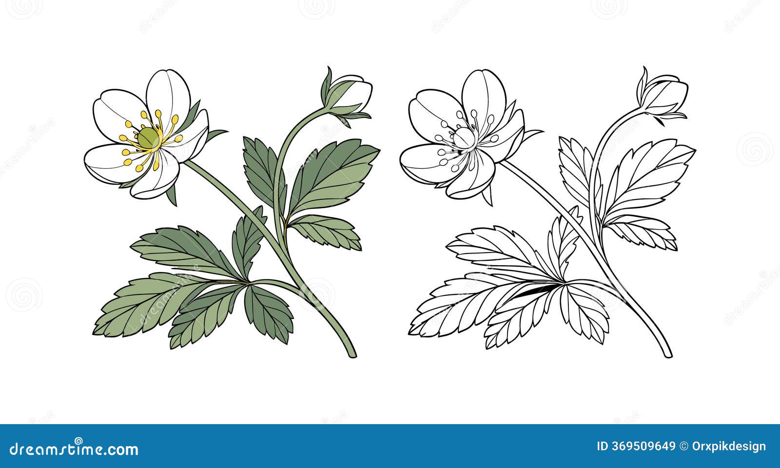 Twinleaf Cartoons, Illustrations & Vector Stock Images - 36 Pictures to ...