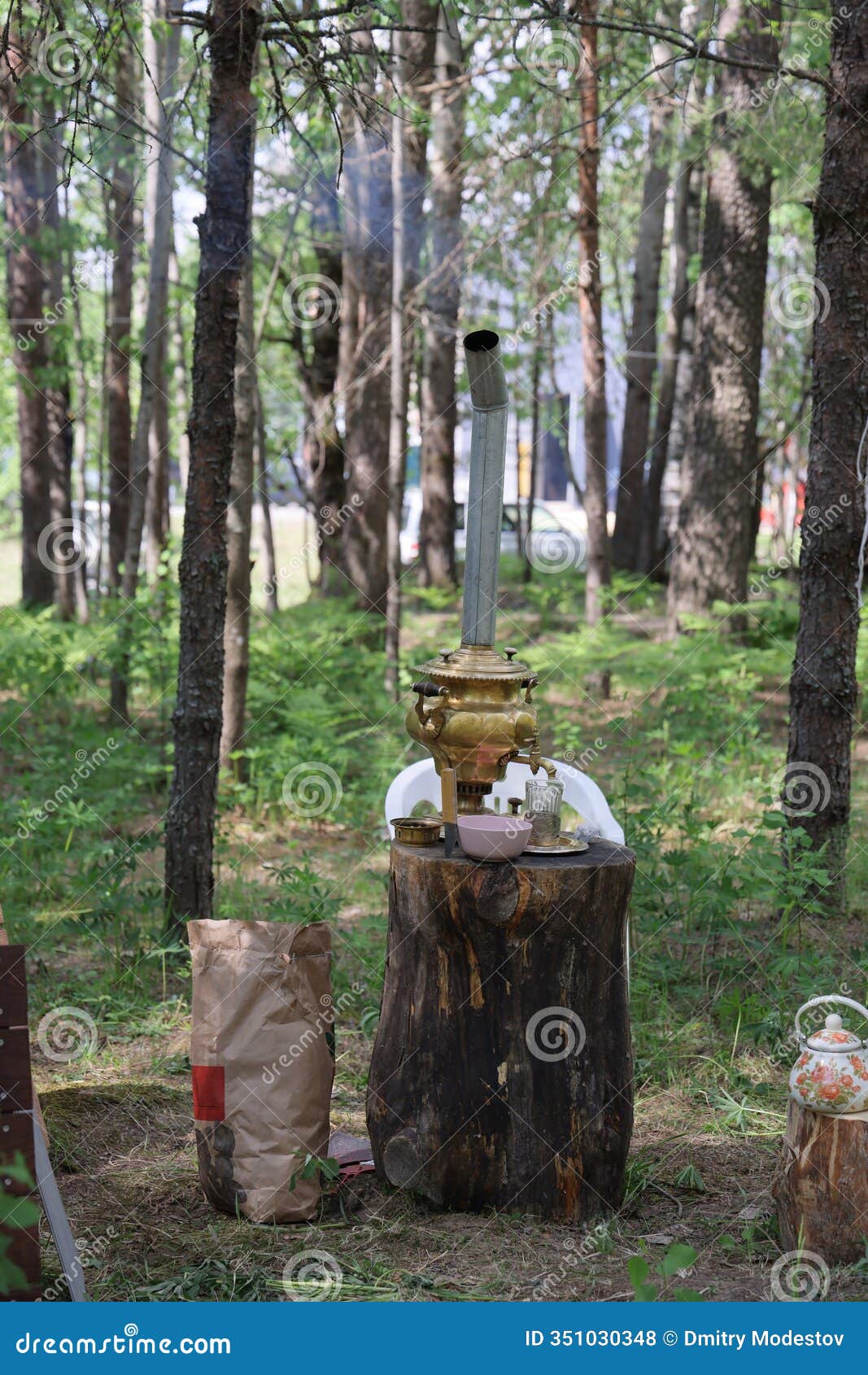 Rustic Cooking Setup Located within a Serene and Peaceful Forest ...