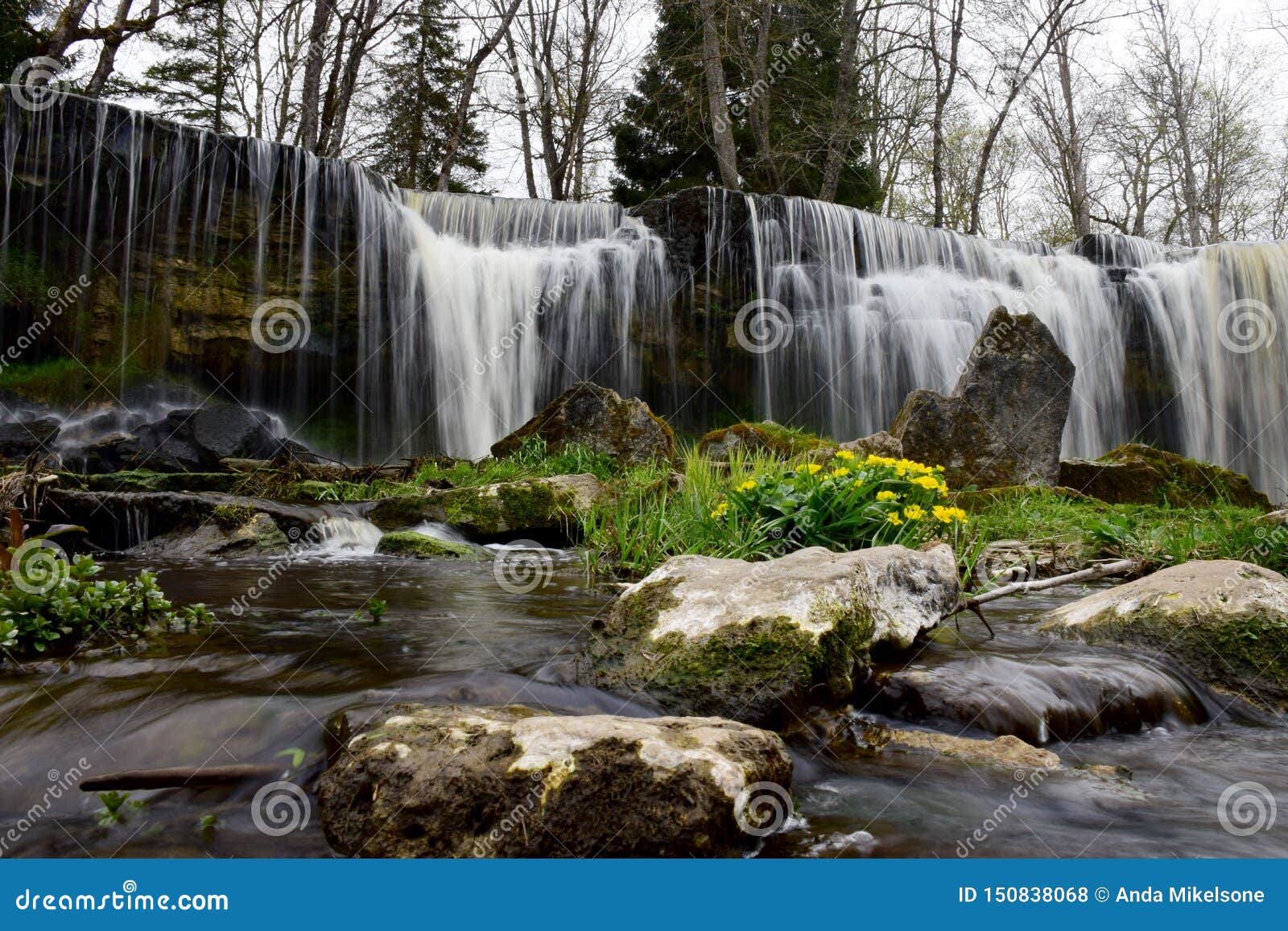 Charming Waterfall with Spring Flowers and Stones Stock Photo - Image ...