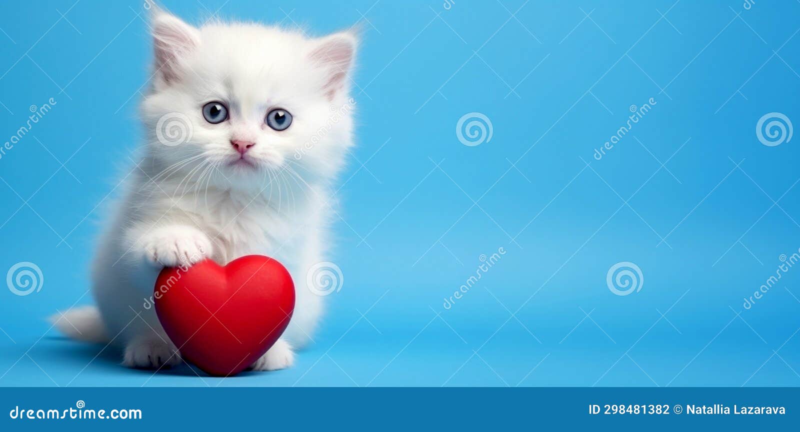 A Charming White Kitten Holds a Red Heart in Its Paws on a Blue ...
