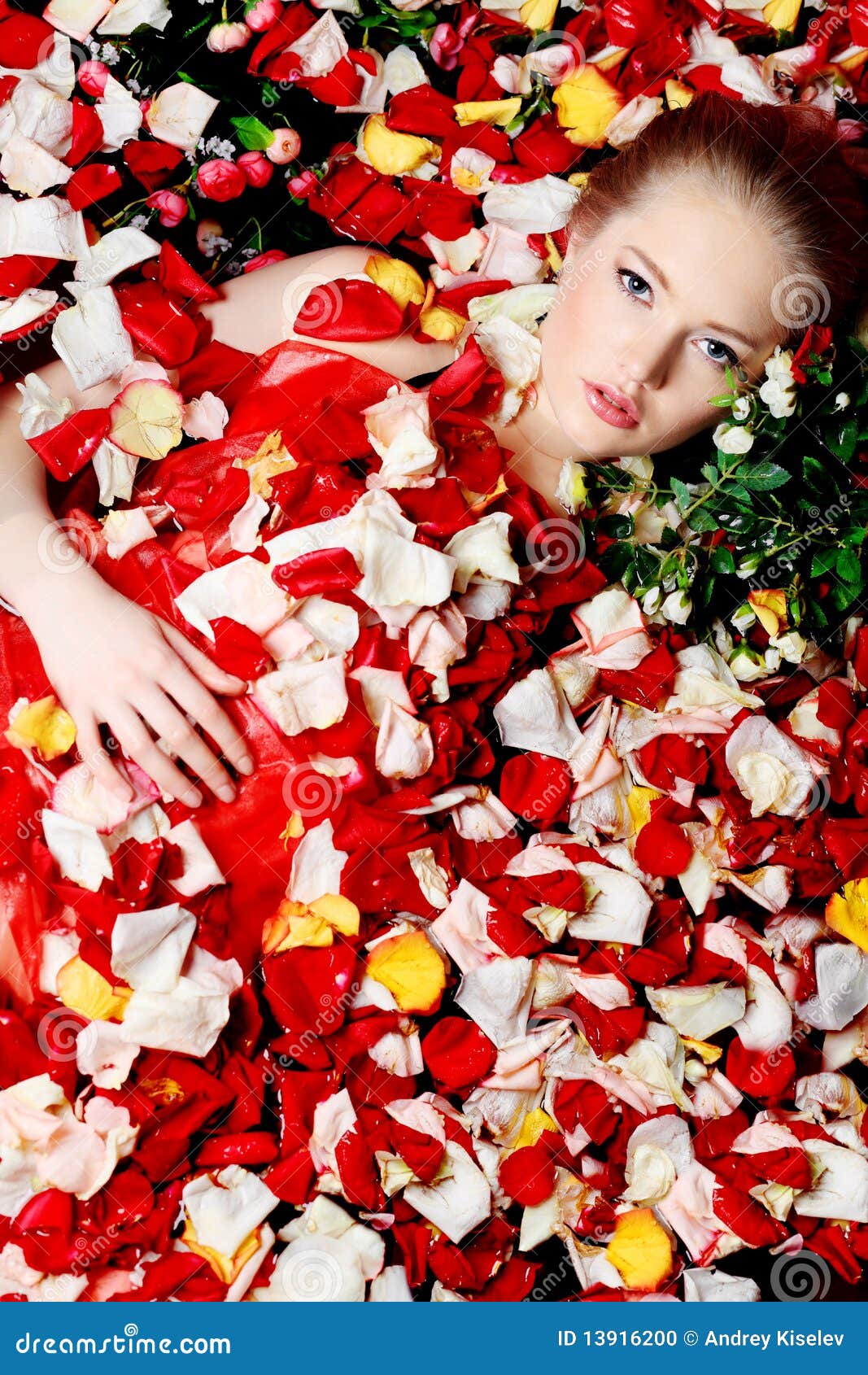 Charming woman stock photo. Image of lovely, fresh, floral - 13916200