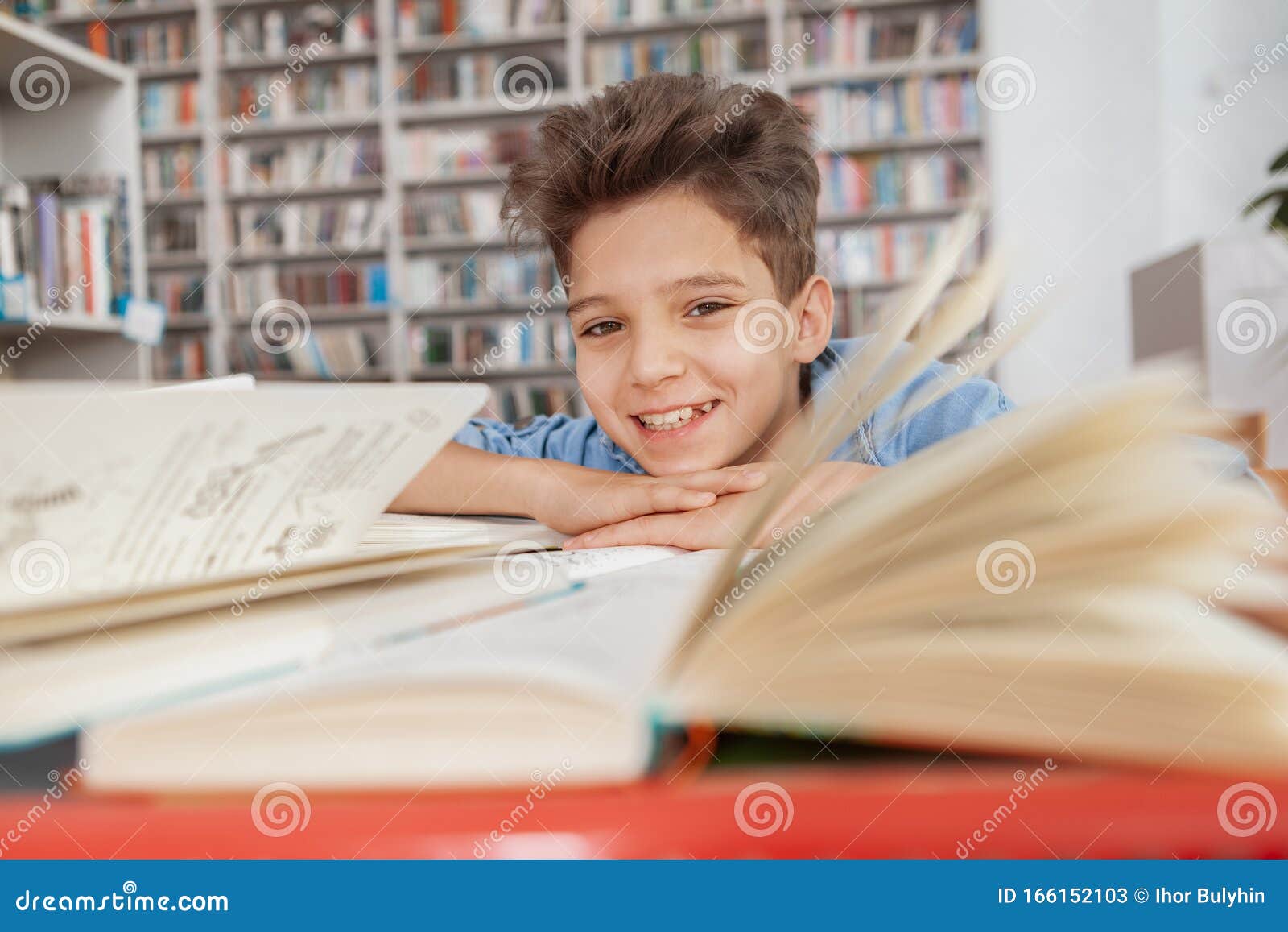 Charming Young Boy Doing Homework at the Library Stock Image - Image of ...