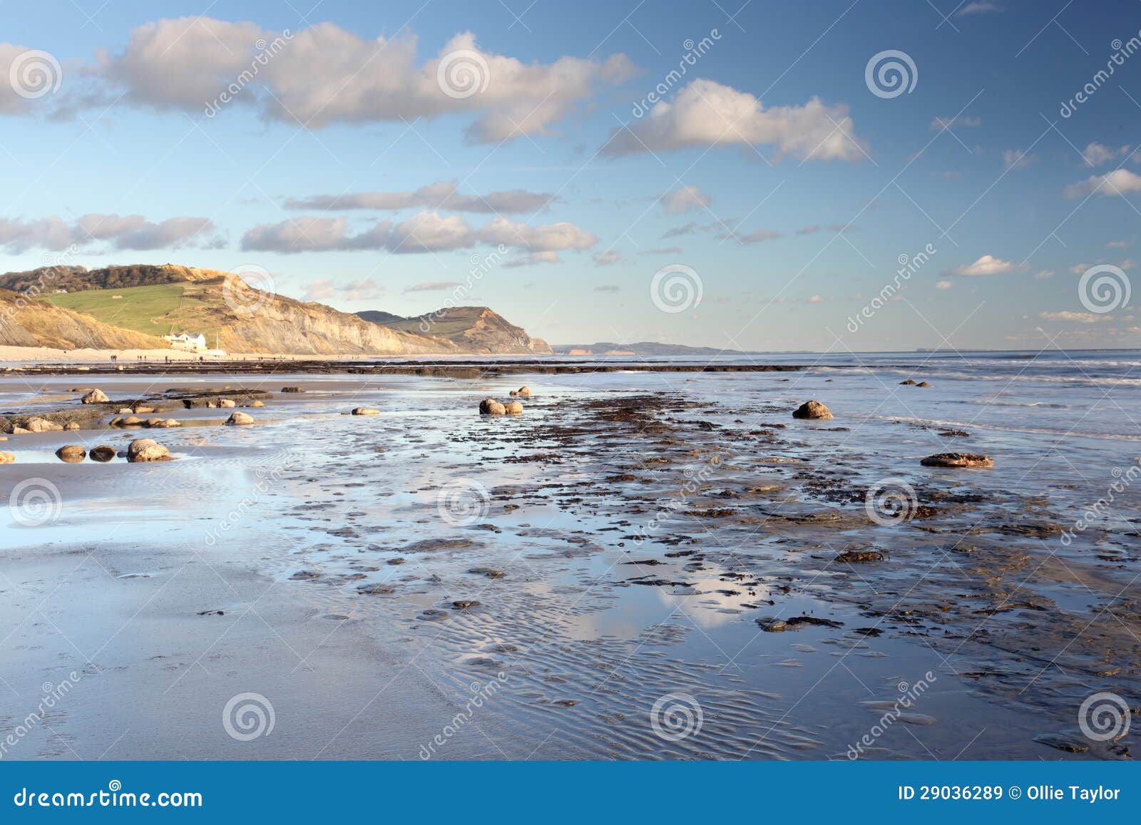 Charmouth beach stock image. Image of nature, shoreline - 29036289