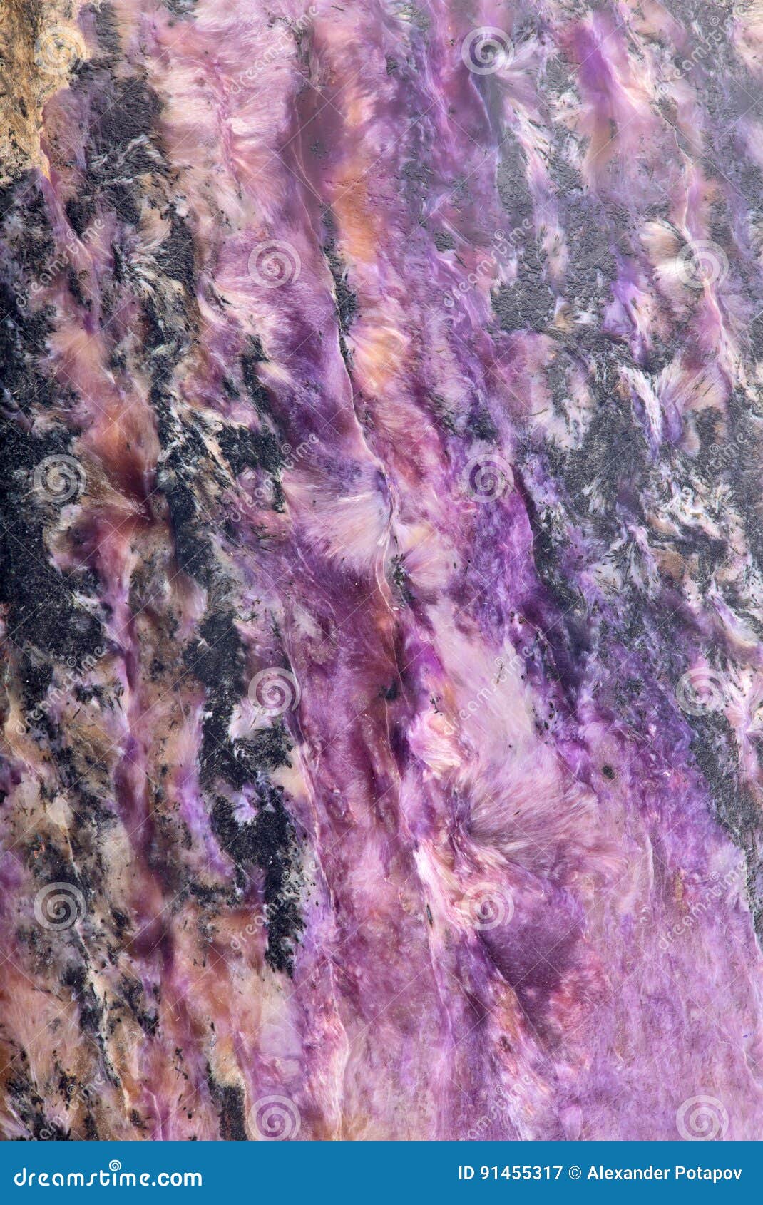 Charoite Stone Purple and Black Texture Stock Image - Image of geology ...