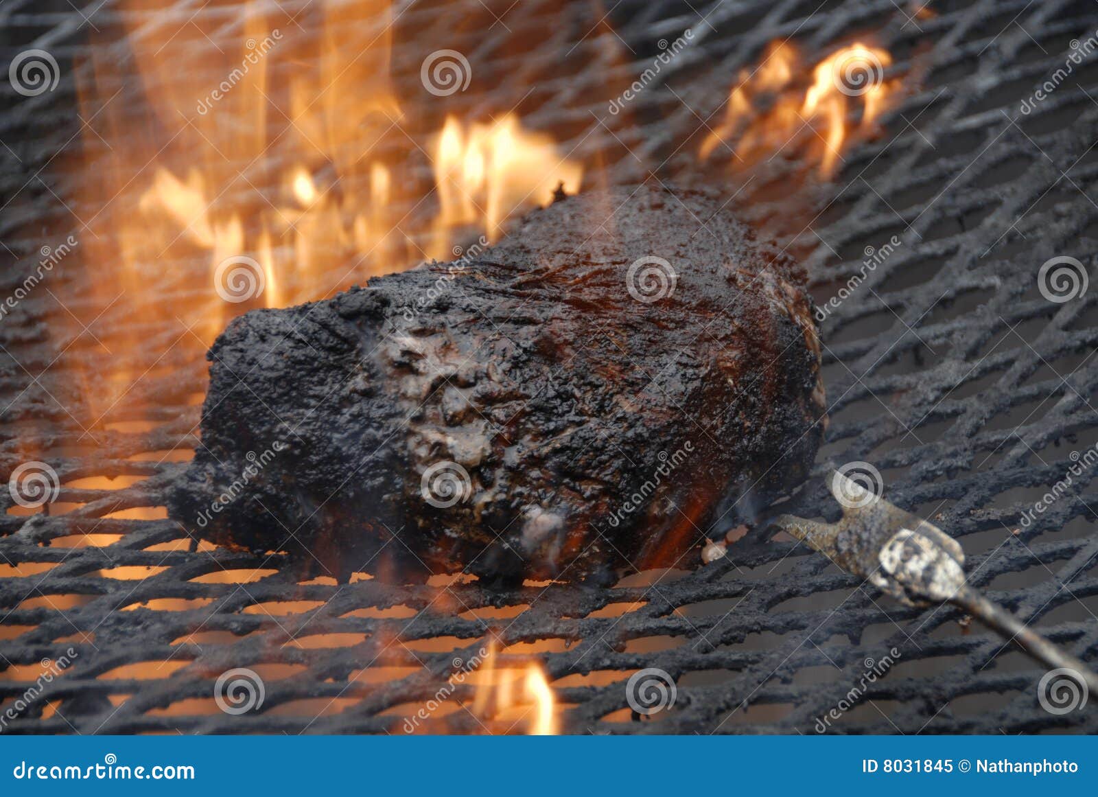 Beef Gristle Stock Photo | CartoonDealer.com #10092138