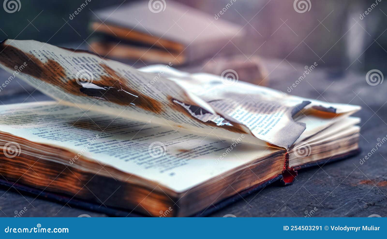 Charred Books on the Table. Books after the Fire Stock Image - Image of ...