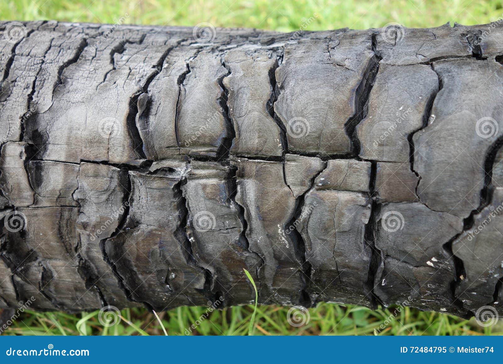 Charred branch stock image. Image of residue, crack, fissure - 72484795