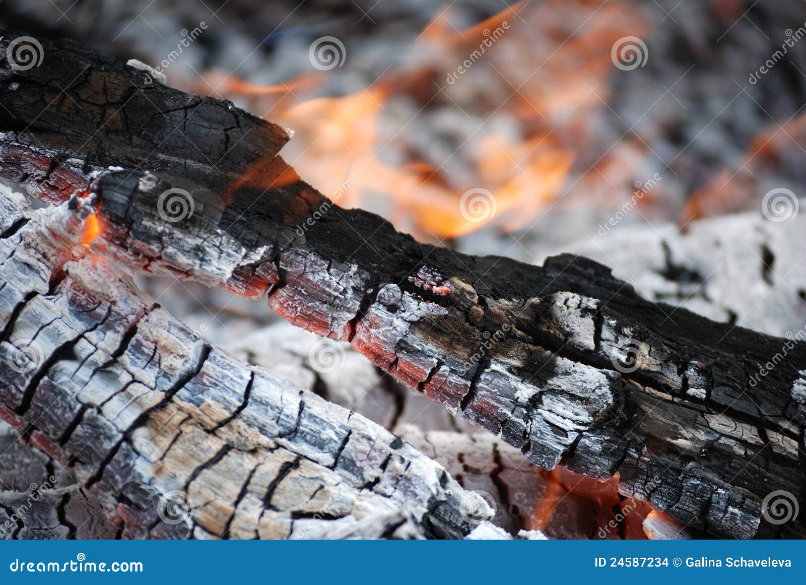 Charred in campfire stock photo. Image of background - 24587234
