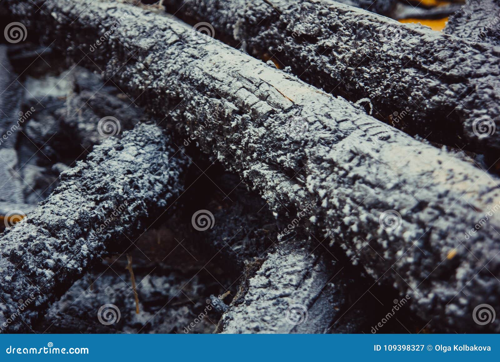 The Charred Logs in the Snow Stock Image - Image of charry, crack ...