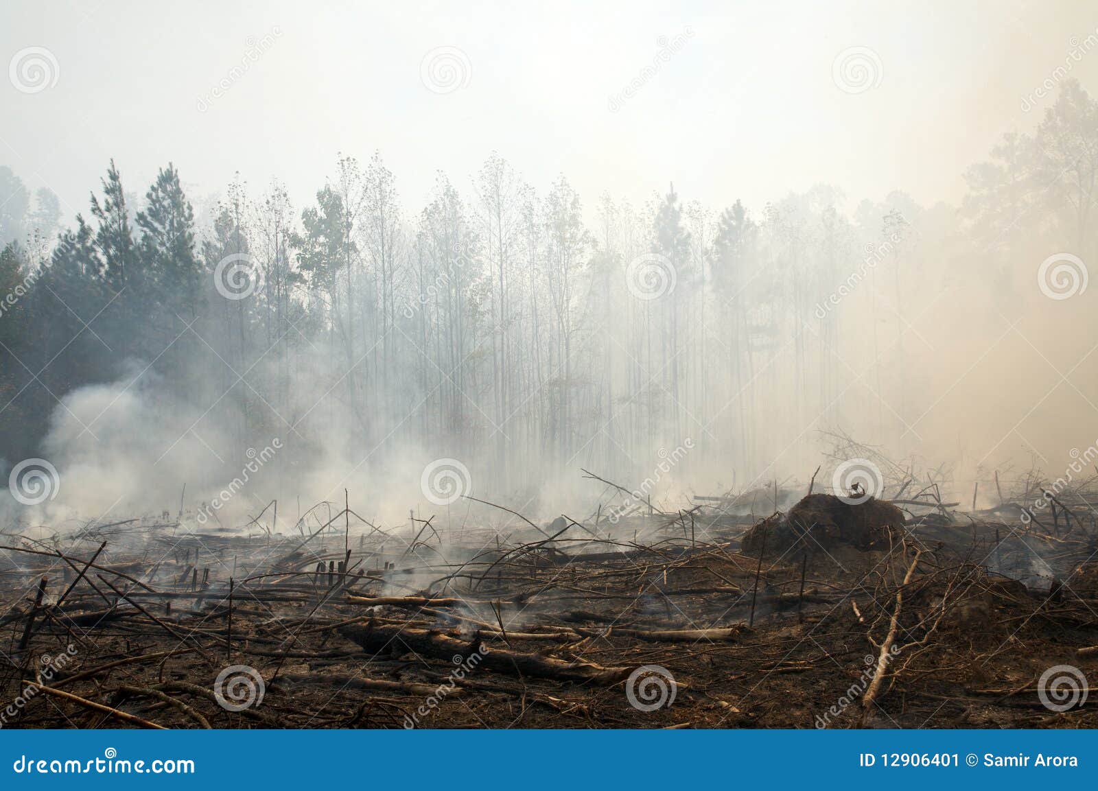 Charred Landscape and Smoke from a Prescribed Fire Stock Image - Image ...