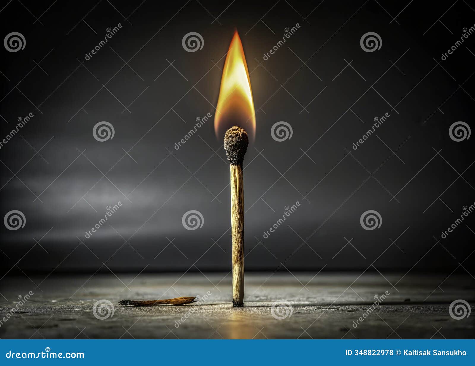 A Charred Matchstick Upright: a Powerful Visual Metaphor for New ...