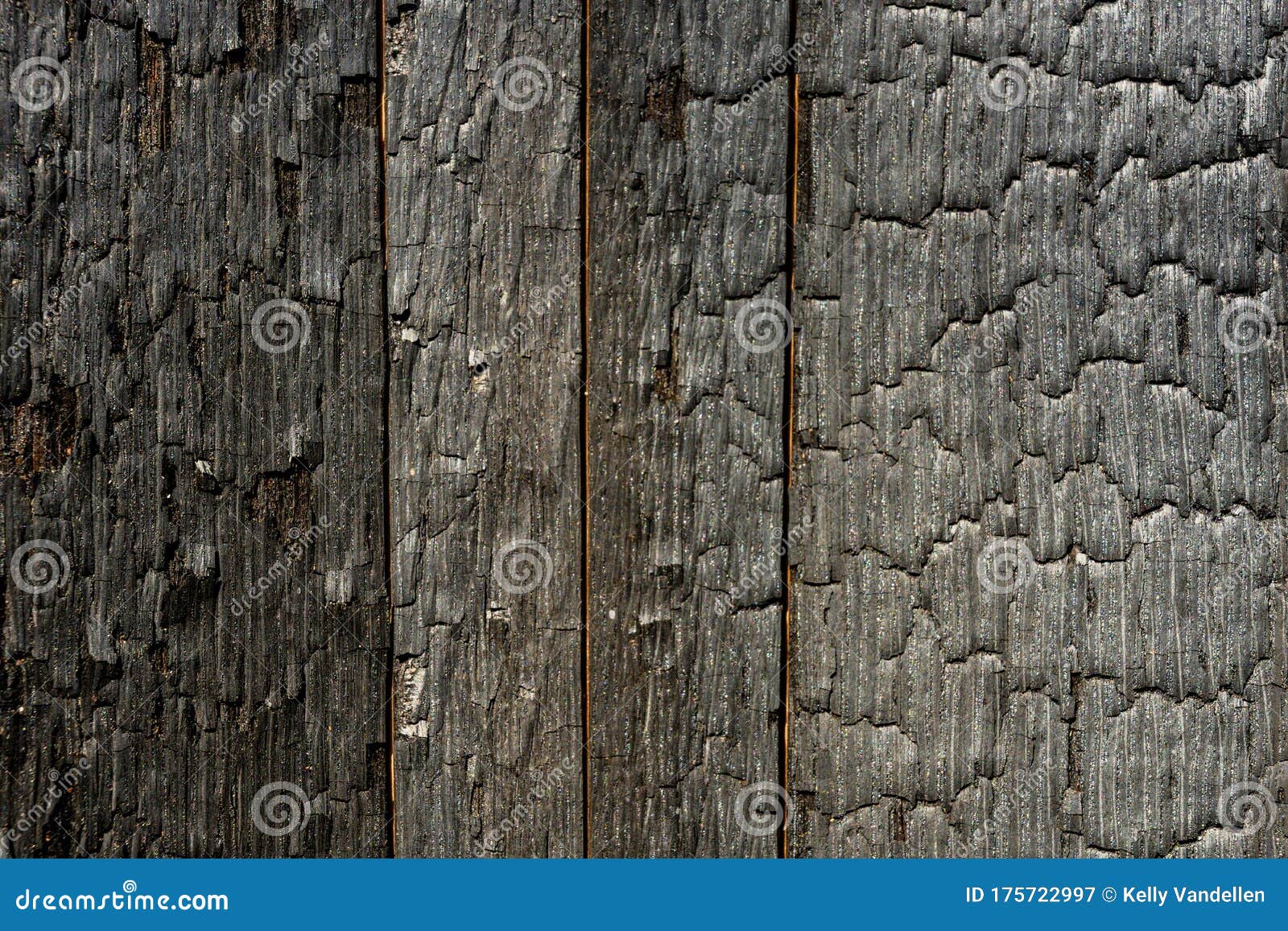 Barrel Oak Texture Stock Photo | CartoonDealer.com #16783464