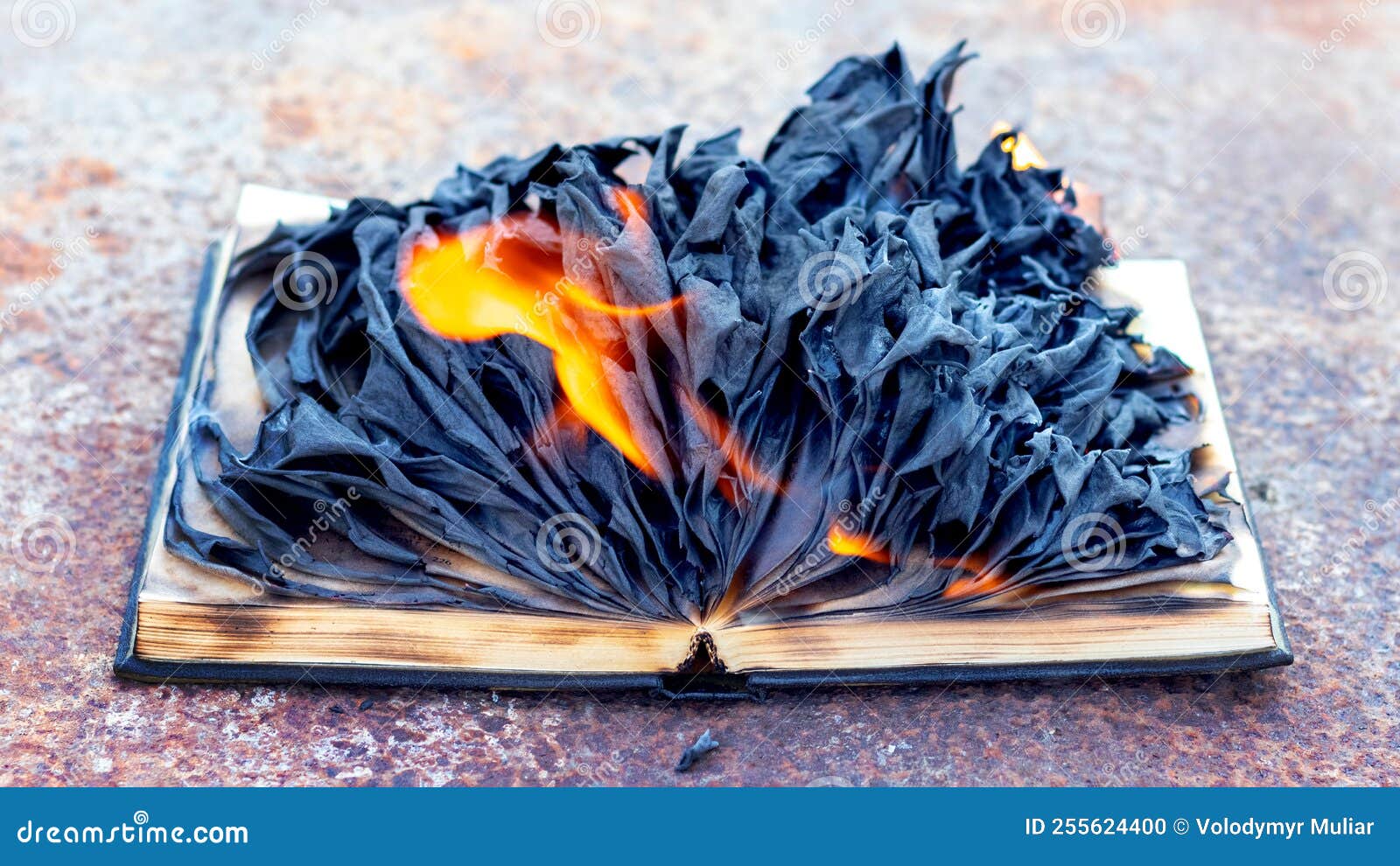 Charred Pages of an Open Book, a Book on Fire Stock Photo - Image of ...
